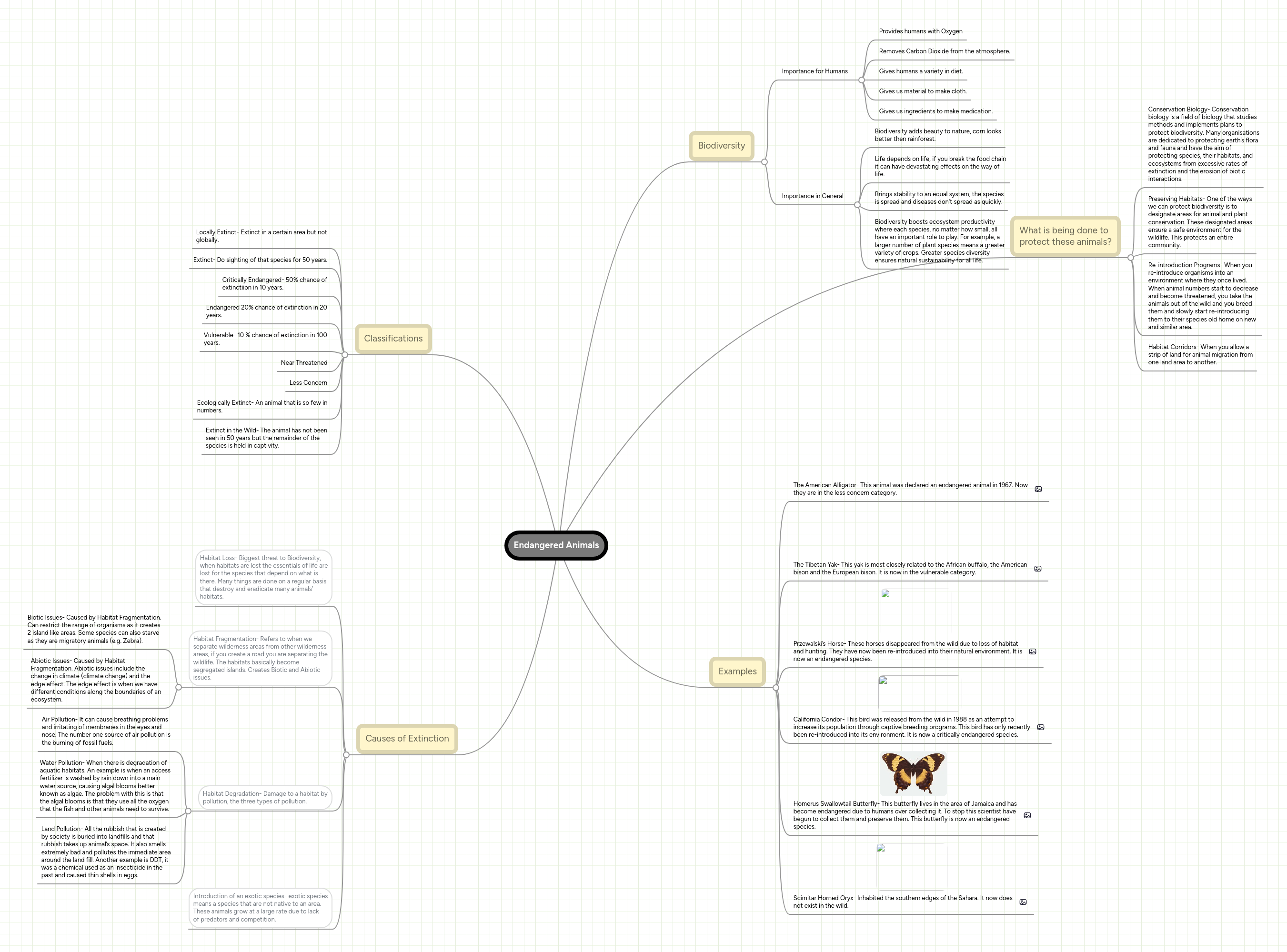 Endangered Animals | MindMeister Mind Map