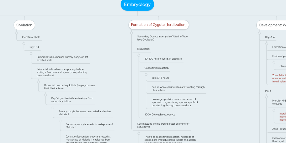 Embryology | MindMeister Mind Map