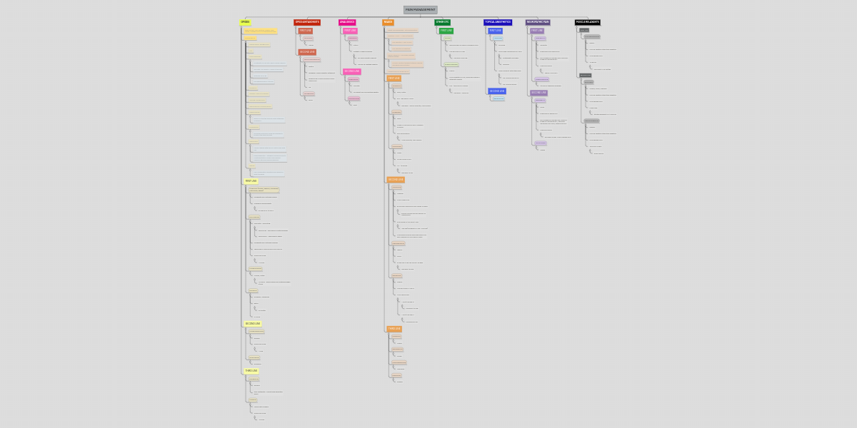 PAIN MANAGEMENT | MindMeister Mind Map