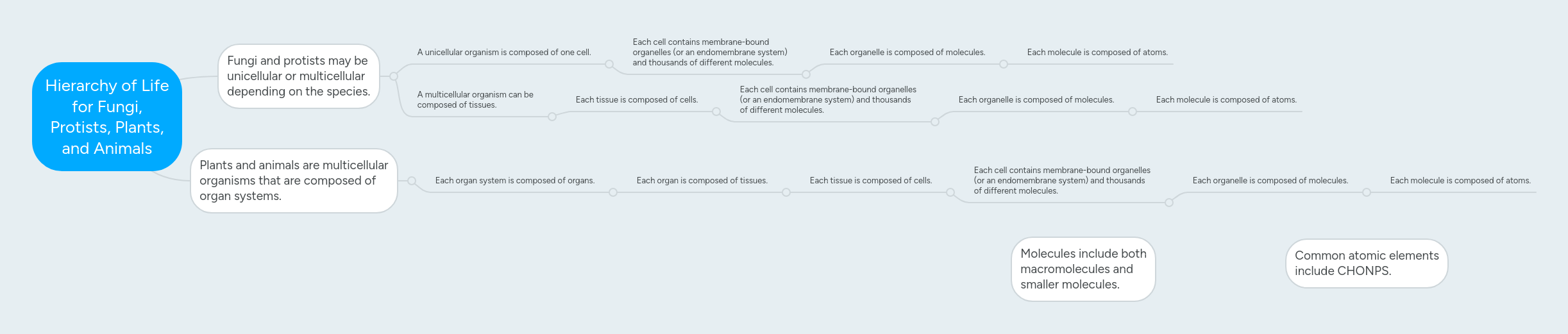 Hierarchy of Life for Fungi, Protists, Plants, an... | MindMeister Mind map