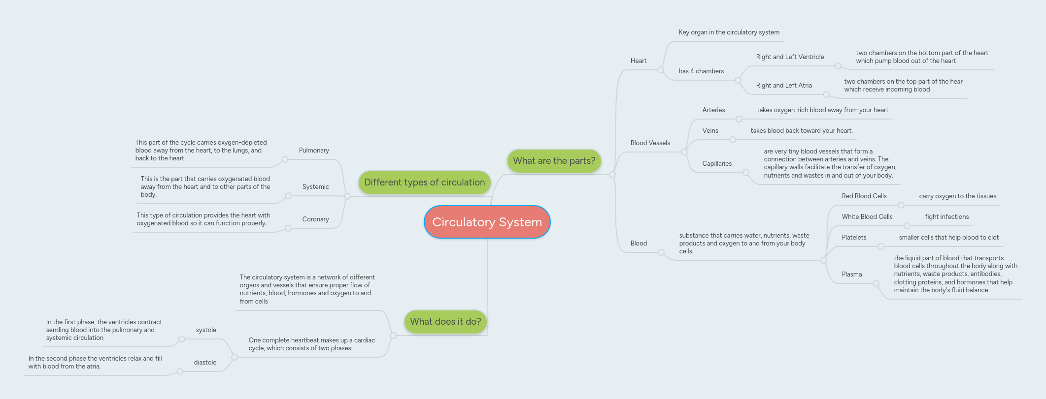 Circulatory System | MindMeister Mind Map