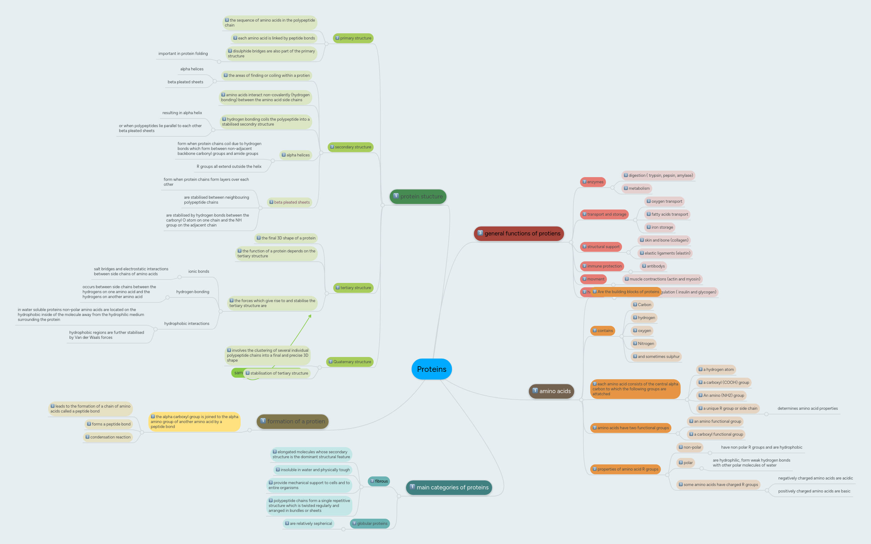 Proteins | MindMeister Mind Map