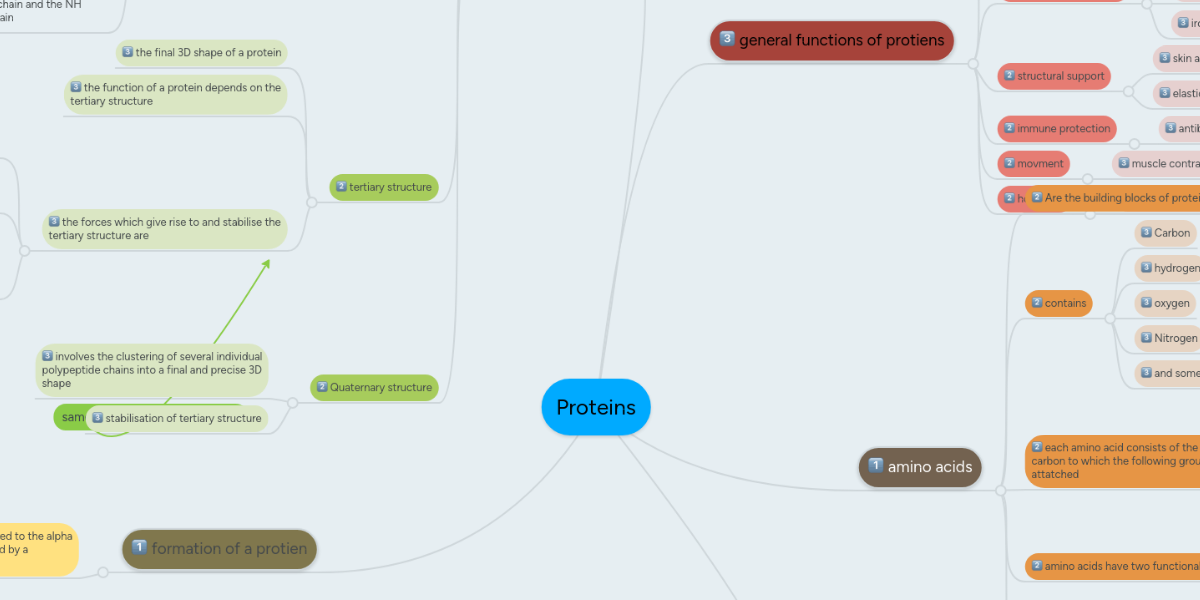 Protein Concept Map