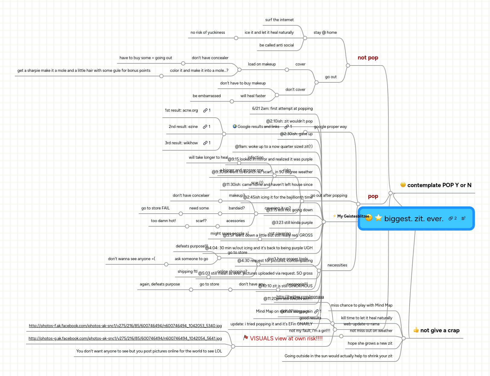 biggest. zit. ever. | MindMeister Mind Map