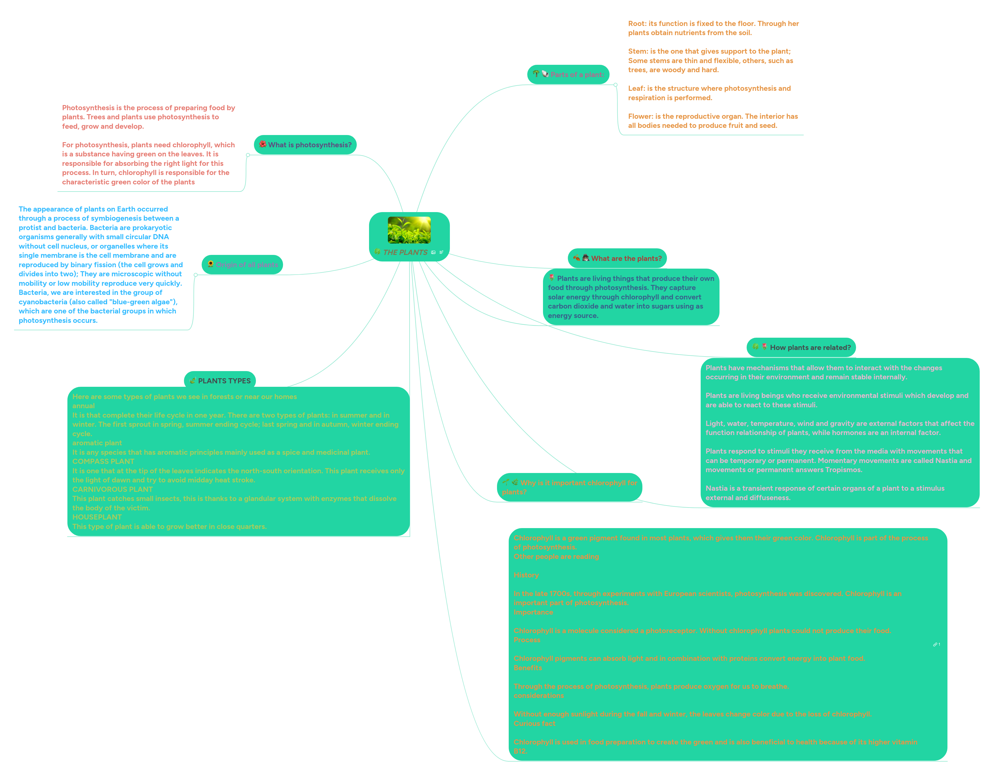 THE PLANTS | MindMeister Mind Map