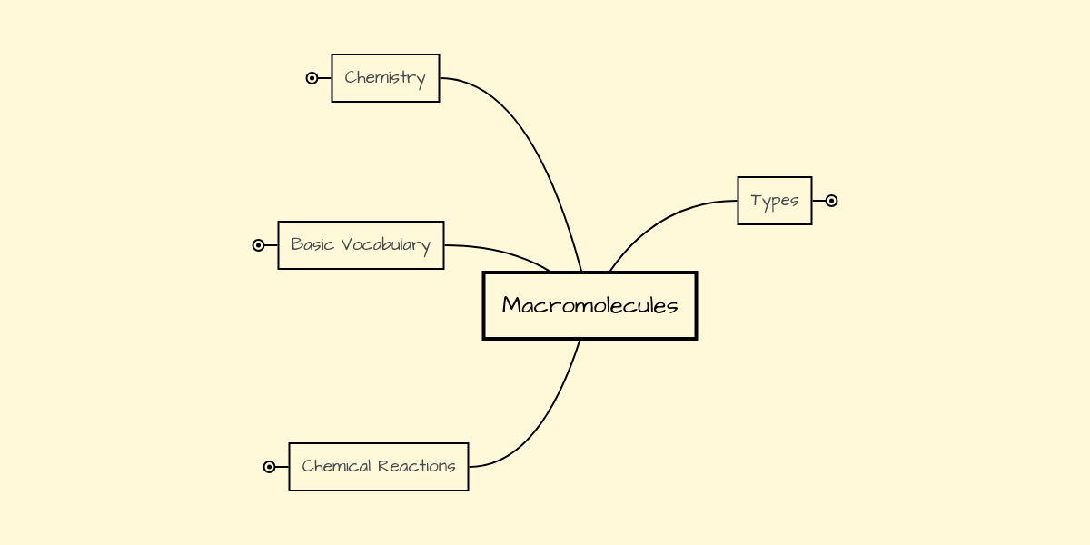 Macromolecules | MindMeister Mind Map