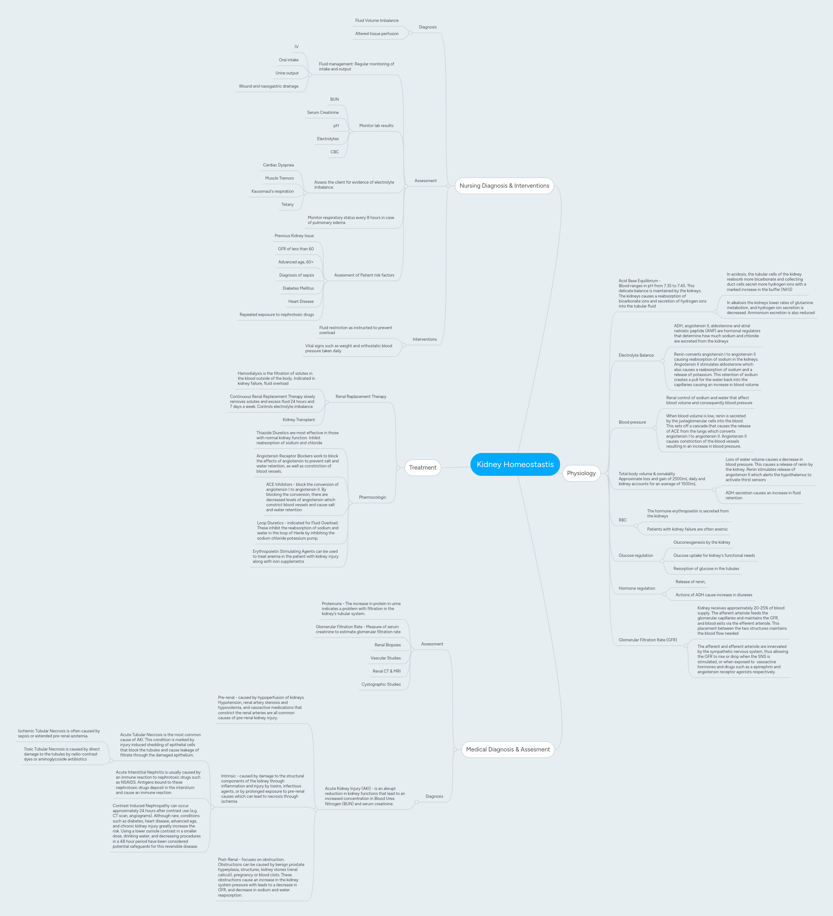 Kidney Homeostastis | MindMeister Mind map