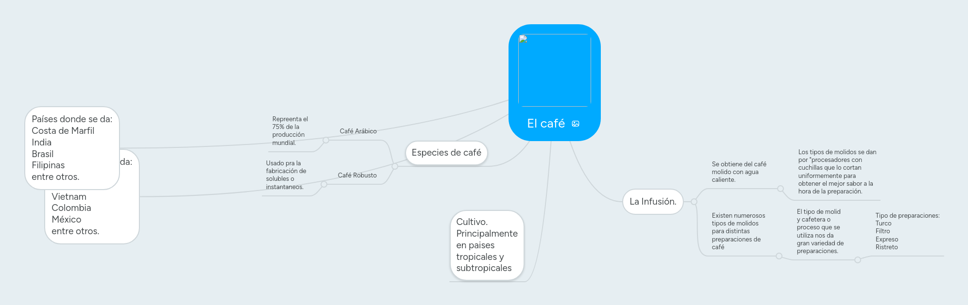 El café | MindMeister Mapa Mental