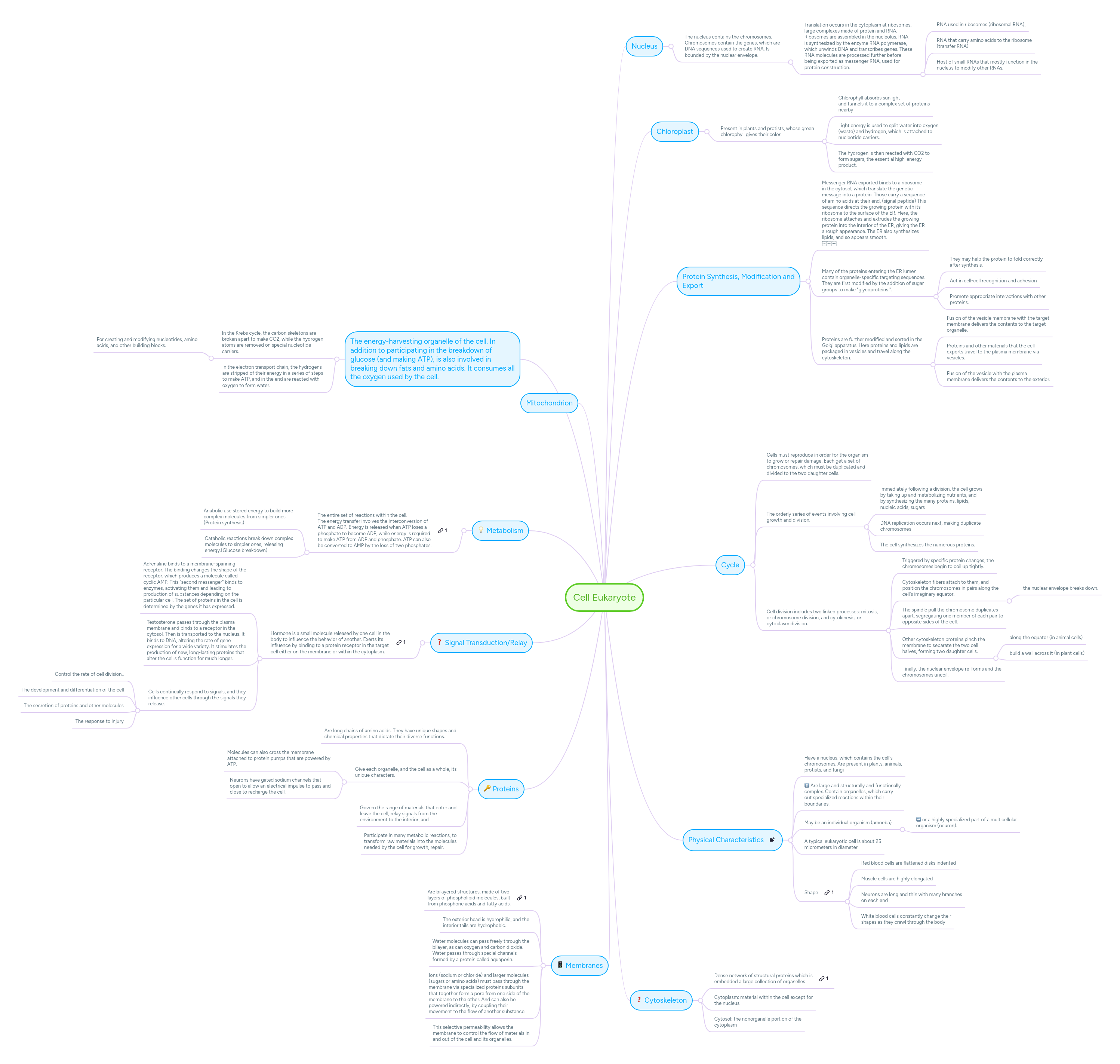 Cell Eukaryote | MindMeister Mind map