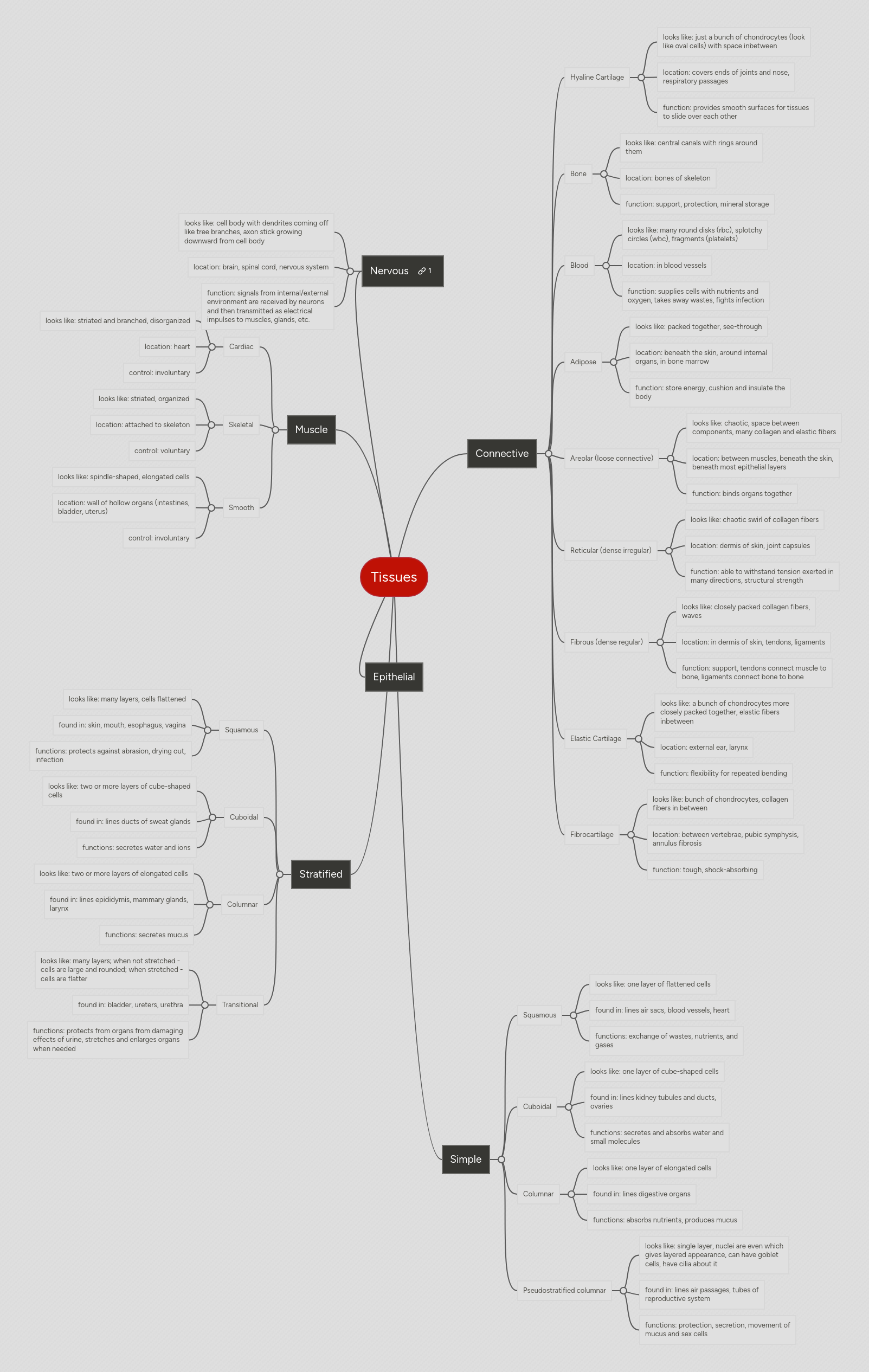 Tissues | MindMeister Mind map