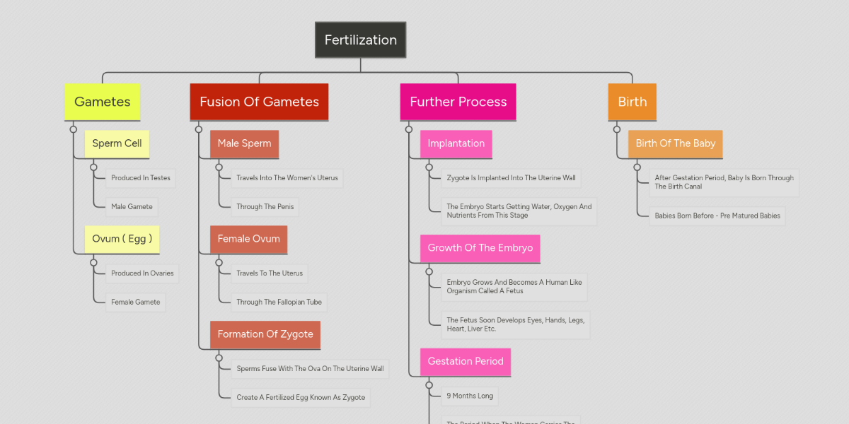 Fertilization | MindMeister Mind Map