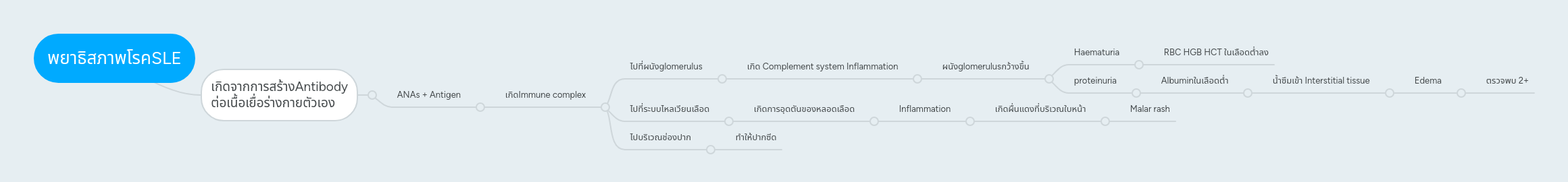 พยาธิสภาพโรคSLE | MindMeister Mind map