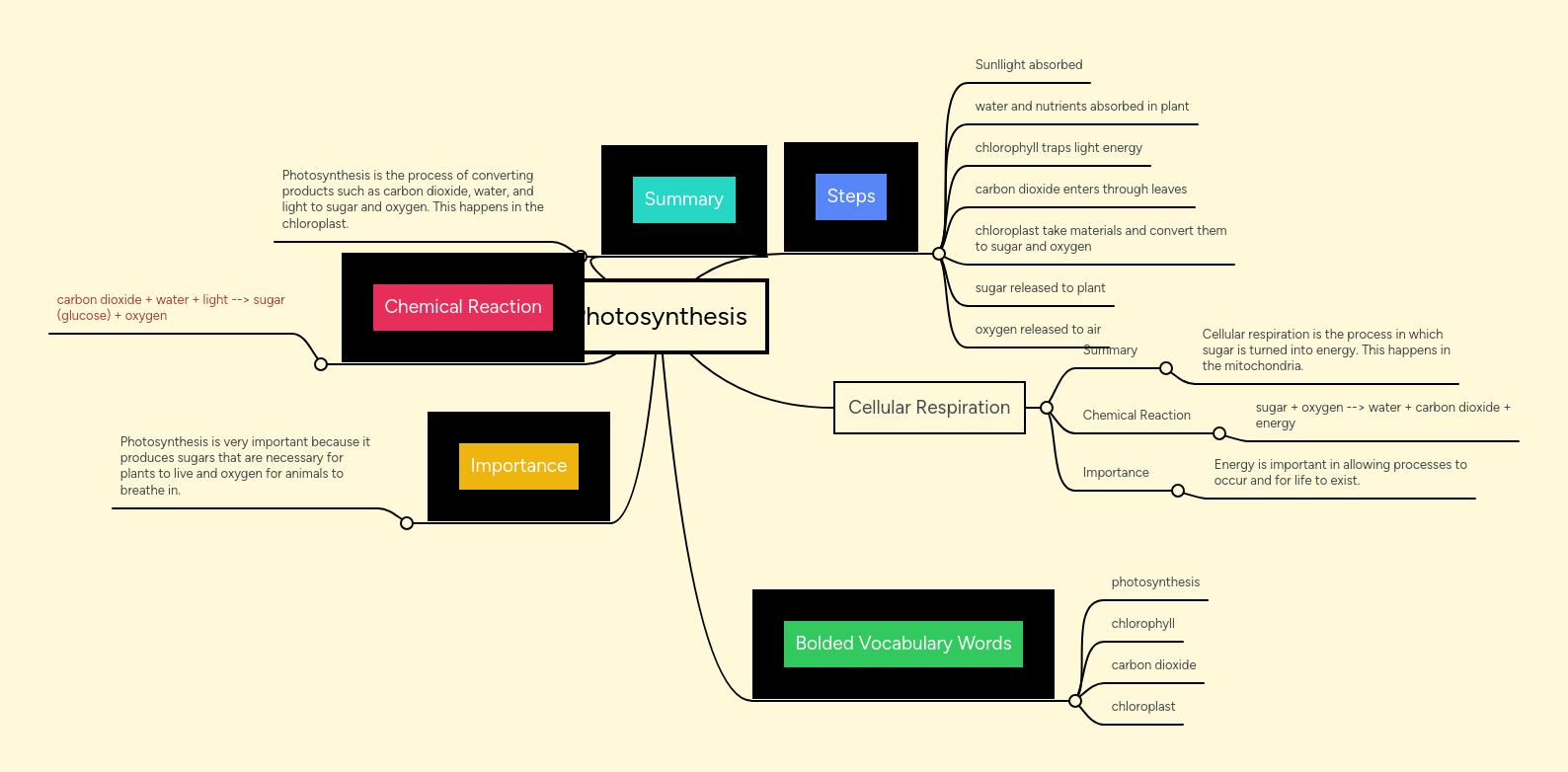 Photosynthesis | MindMeister Mind Map