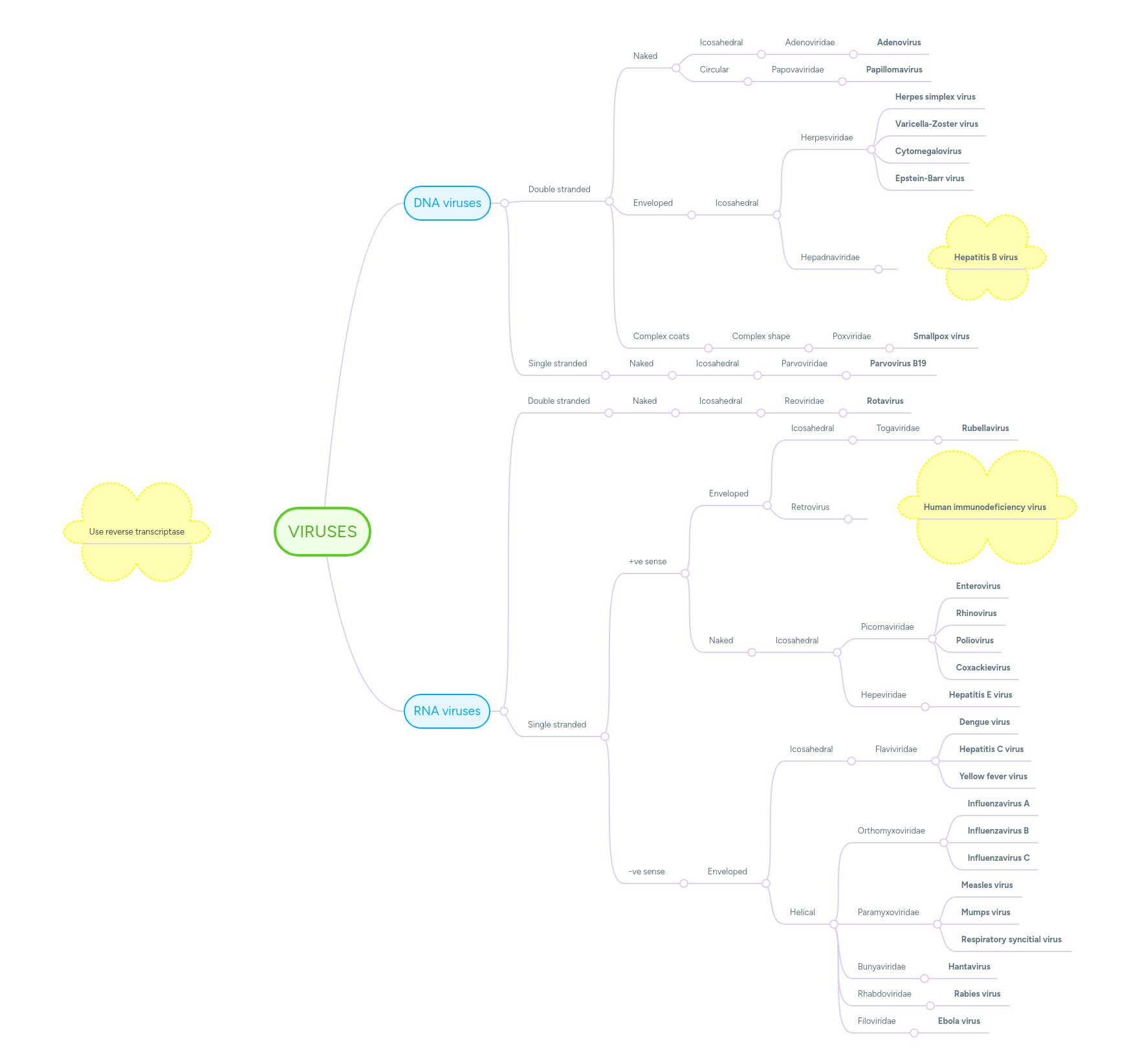 VIRUSES | MindMeister Mind Map