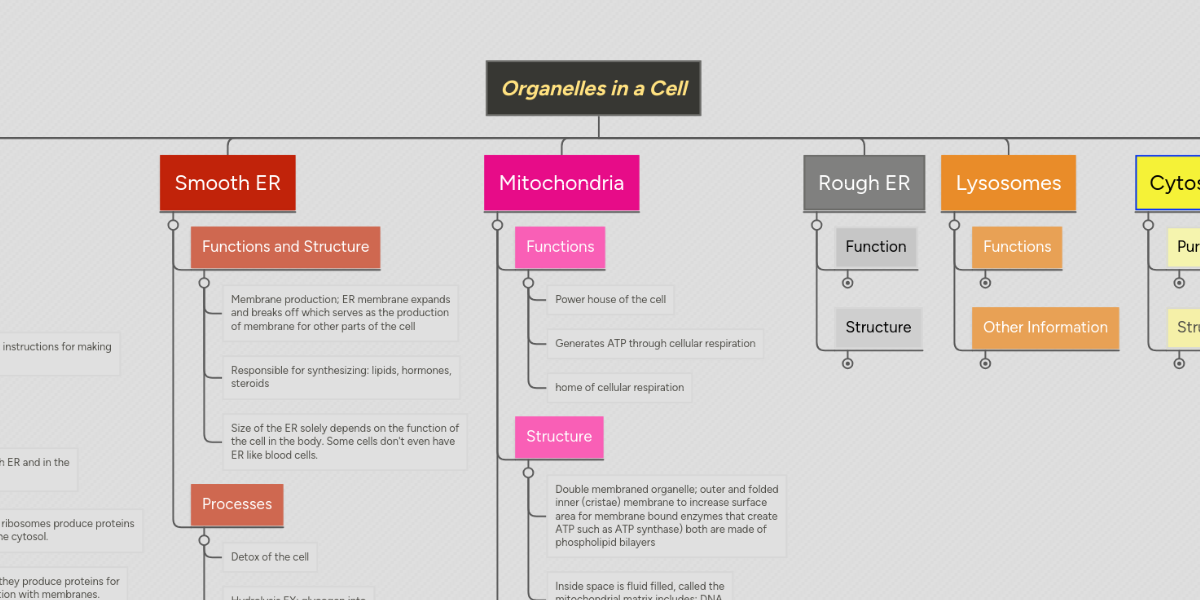 Organelles in a Cell | MindMeister Mind Map