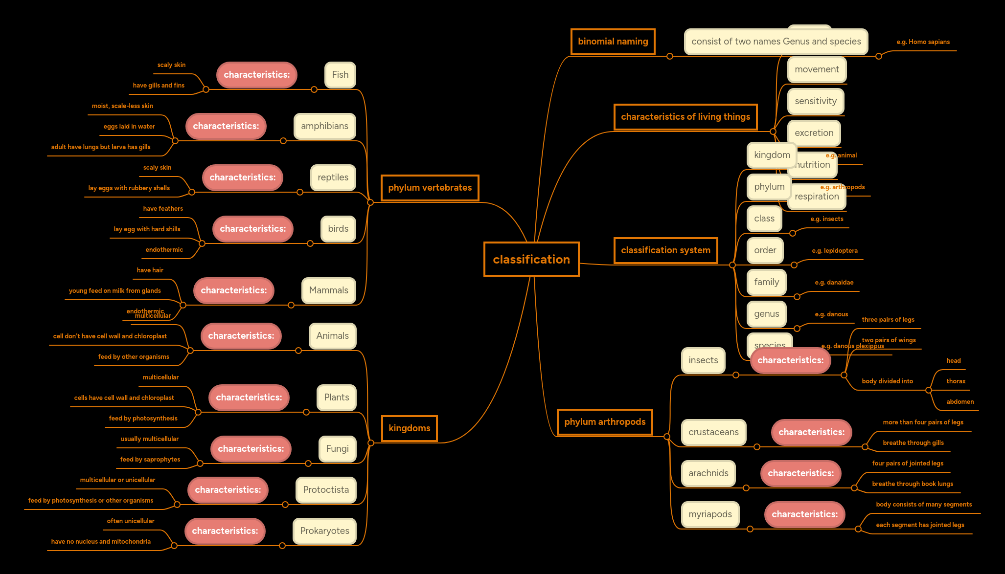 classification | MindMeister Mind map