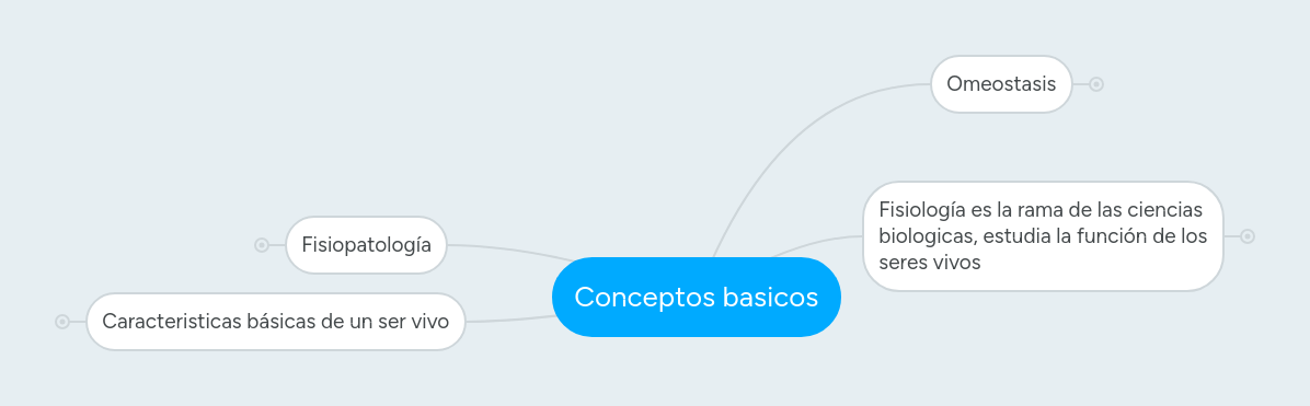 Conceptos basicos | MindMeister Mapa Mental