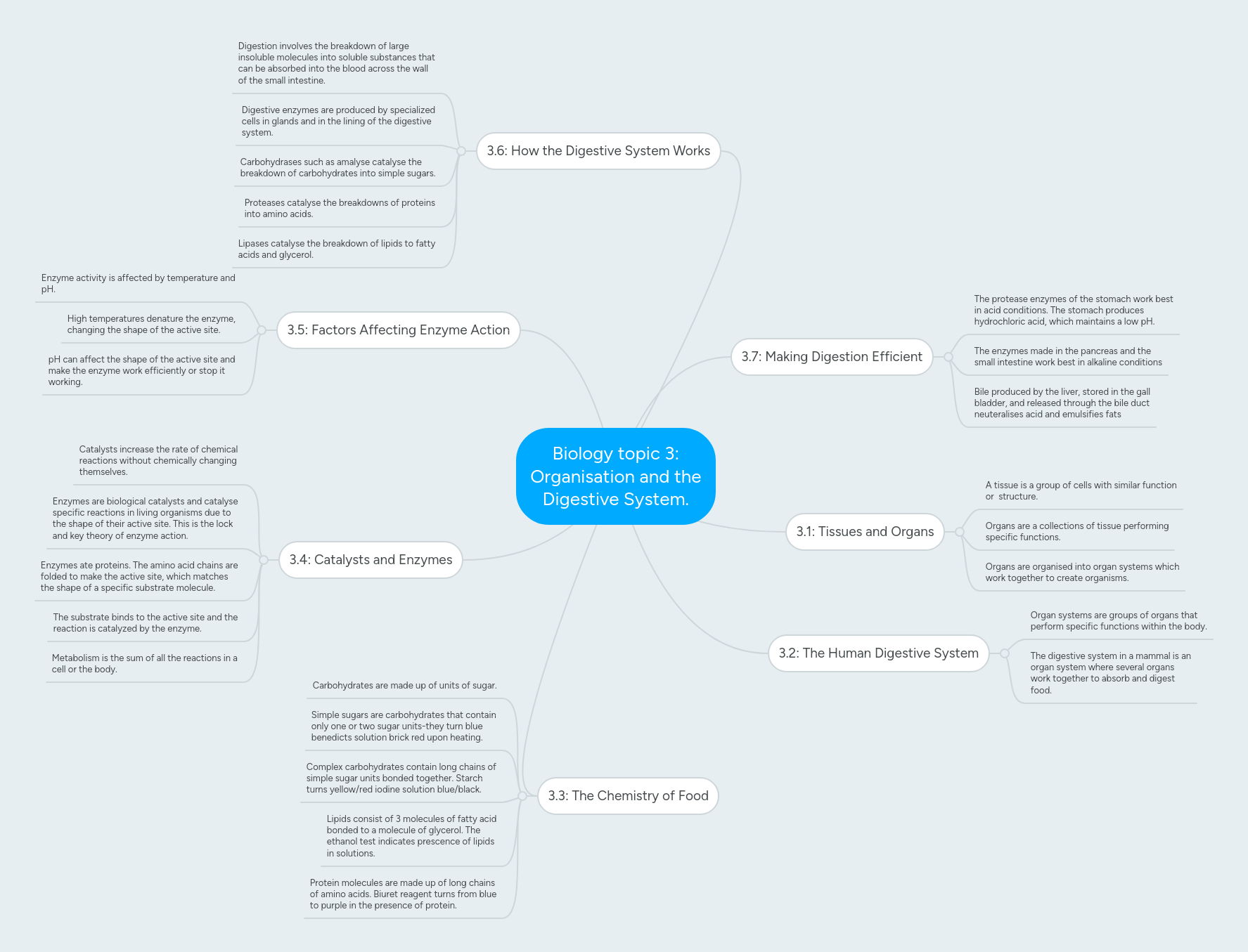 Biology topic 3: Organisation and the Digestive S... | MindMeister Mind Map