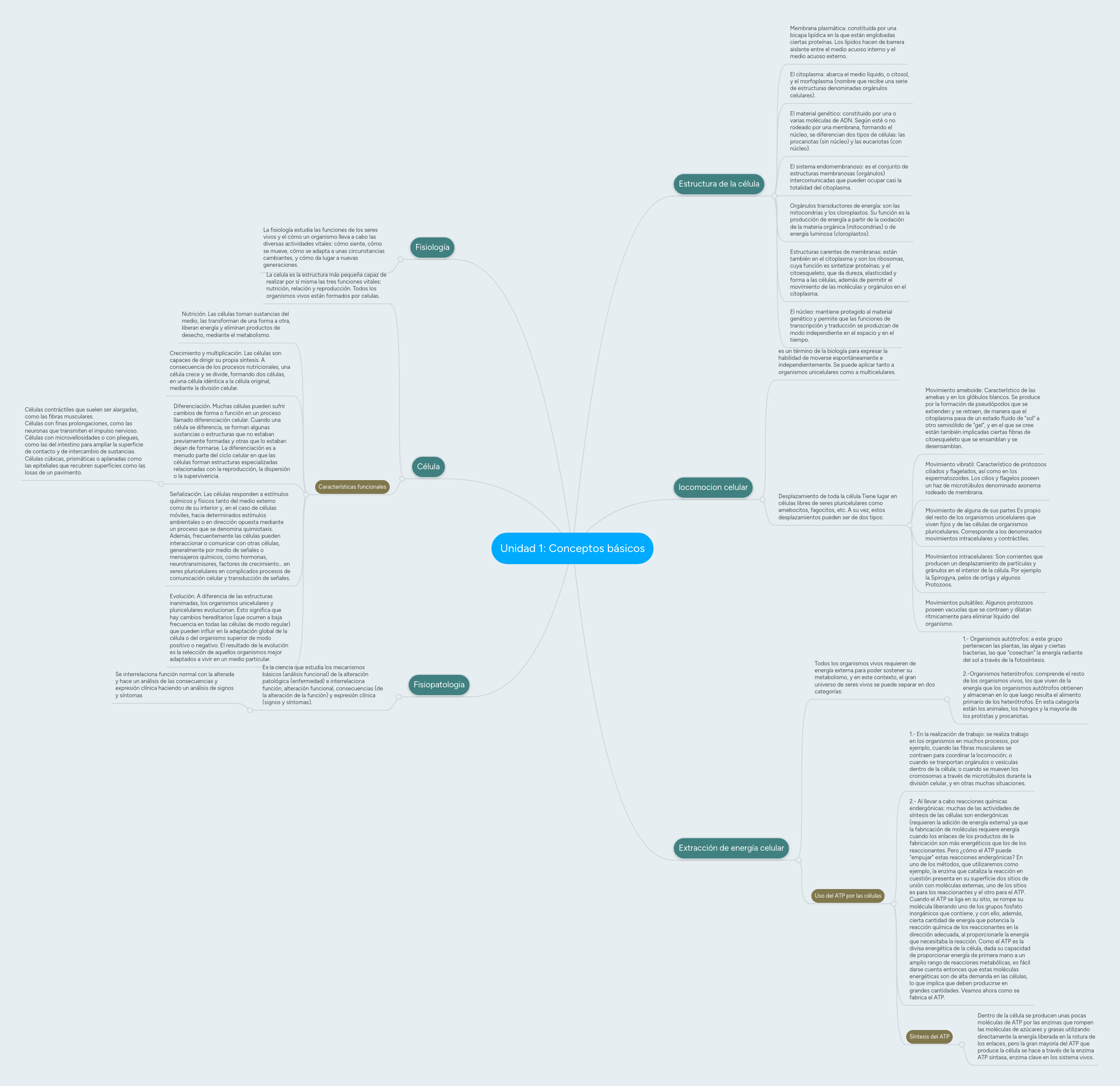 Unidad 1: Conceptos básicos | MindMeister Mapa mental