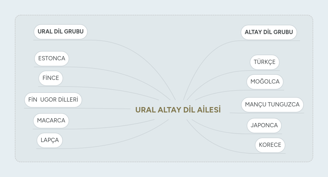 URAL ALTAY DİL AİLESİ | MindMeister Mind map