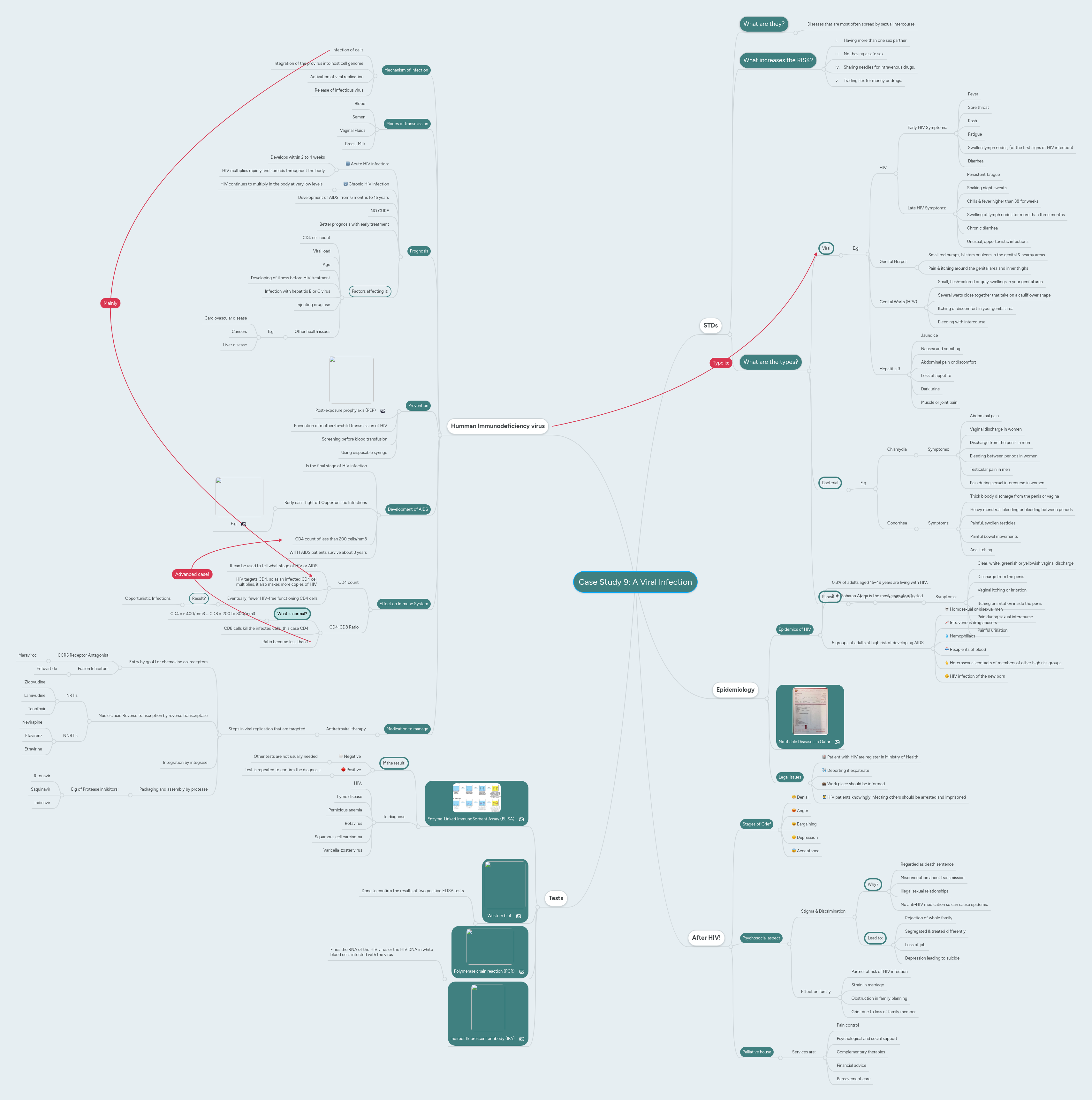 Case Study 9: A Viral Infection | MindMeister Mind map