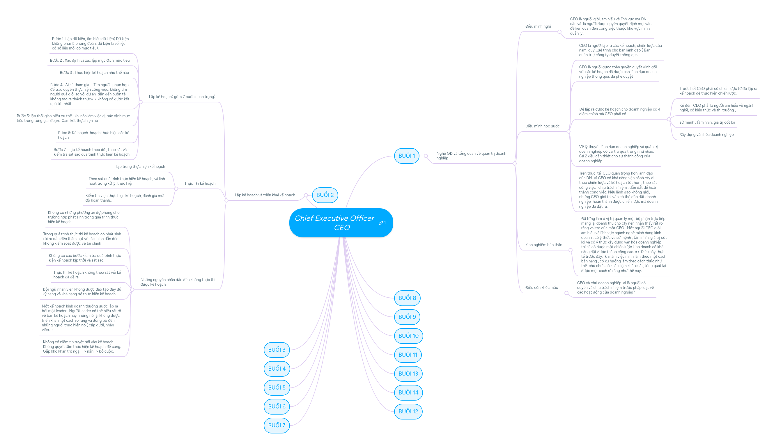 Chief Executive Officer CEO | MindMeister Mind Map