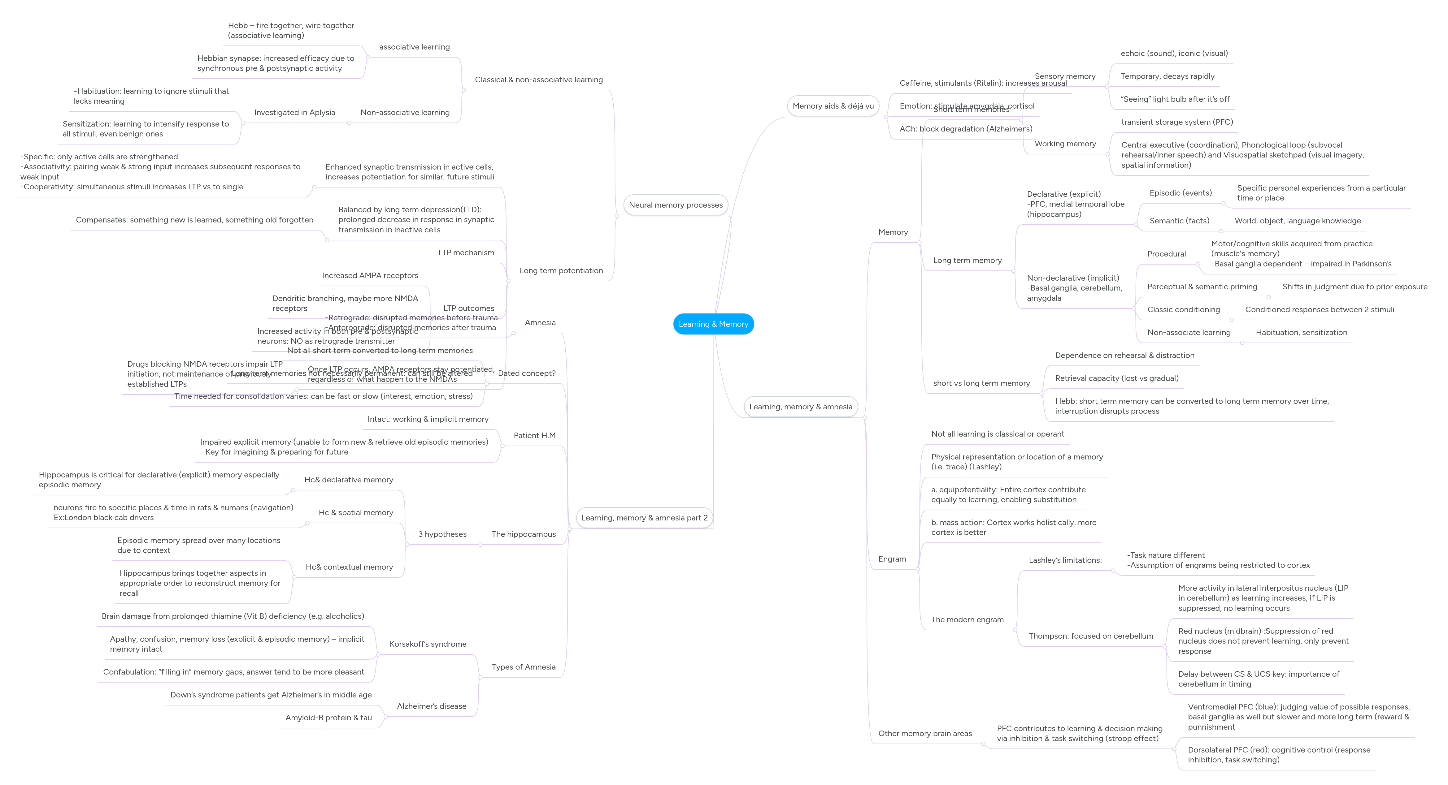 Learning & Memory | MindMeister Mind map