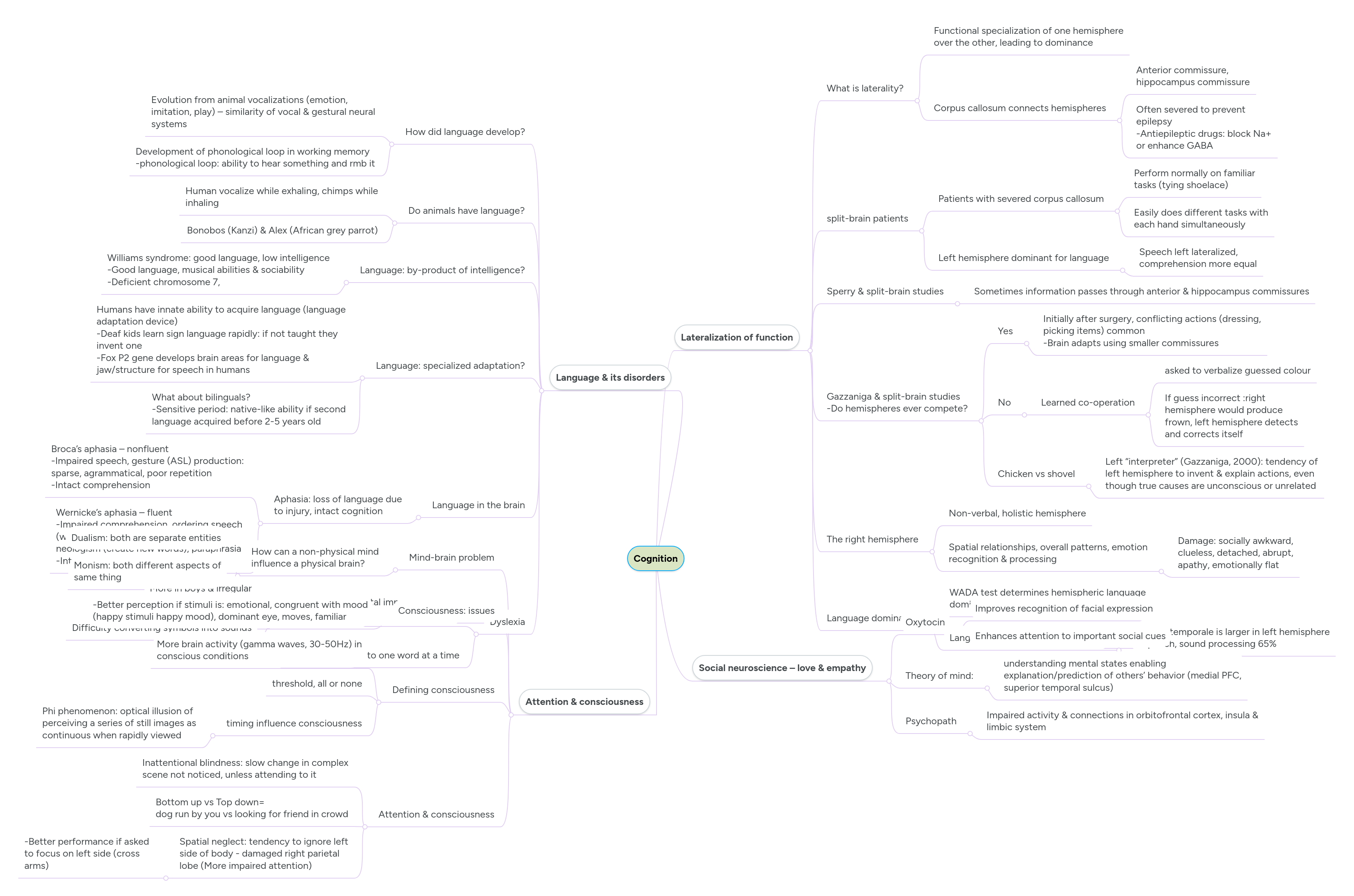 Cognition | MindMeister Mind map