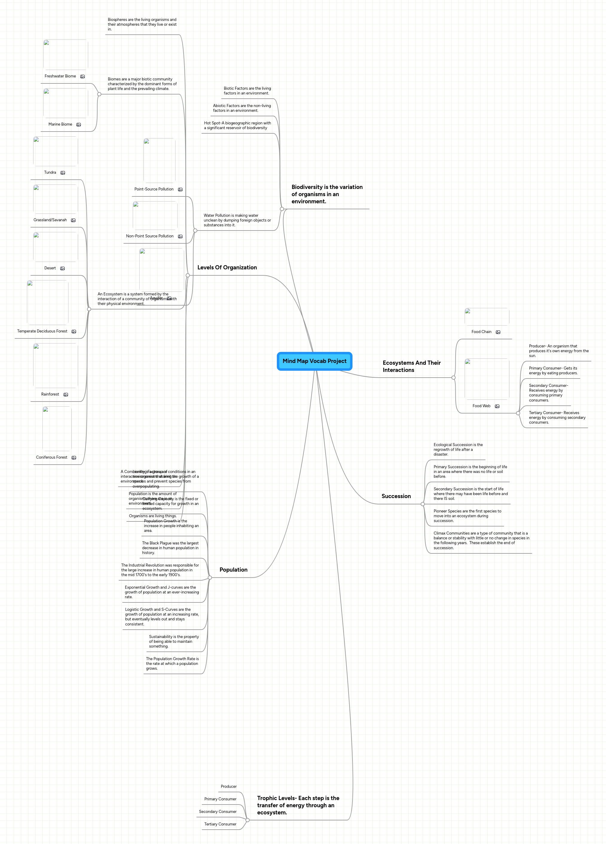 Mind Map Vocab Project | MindMeister Mind Map