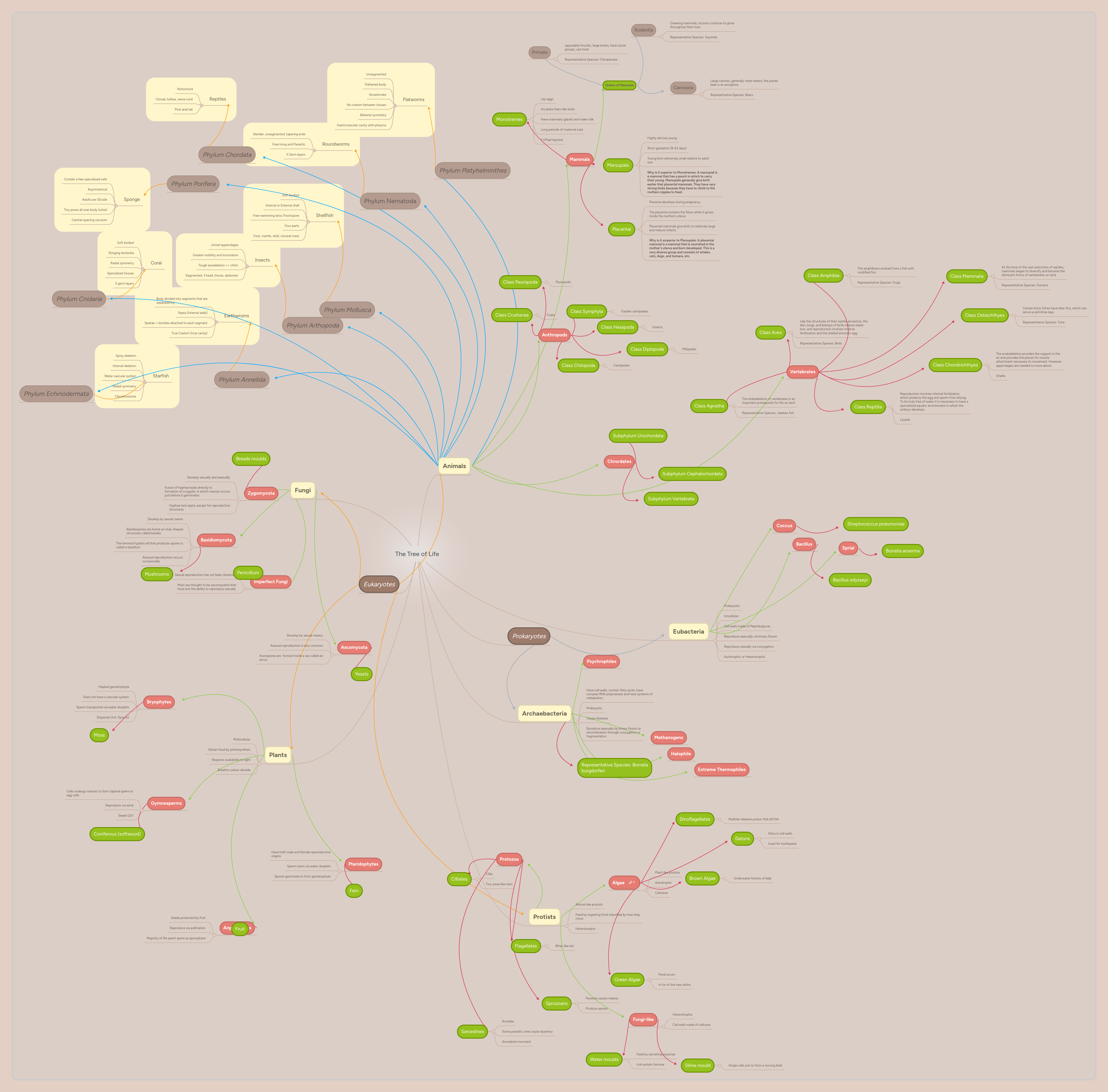 The Tree of Life | MindMeister Mind Map