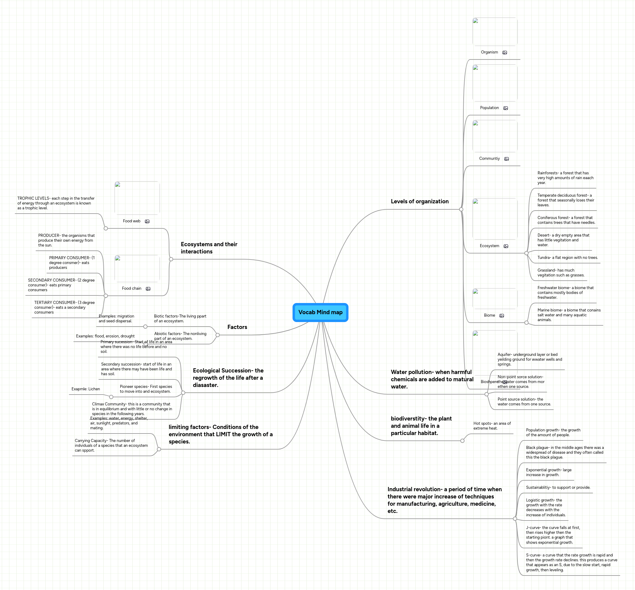 Vocab Mind map | MindMeister Mind map