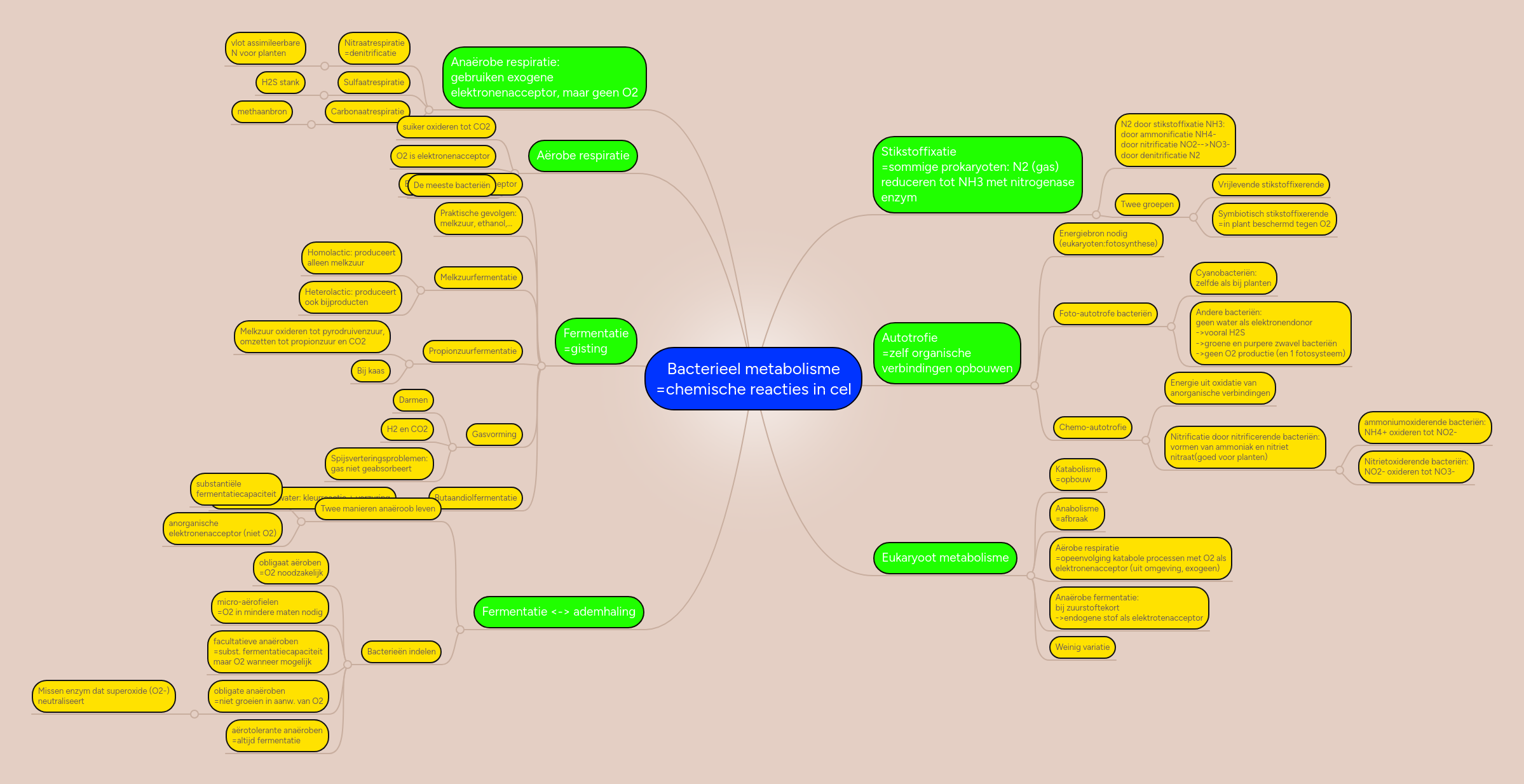 Bacterieel metabolisme =chemische reacties in cel | MindMeister Mind Map