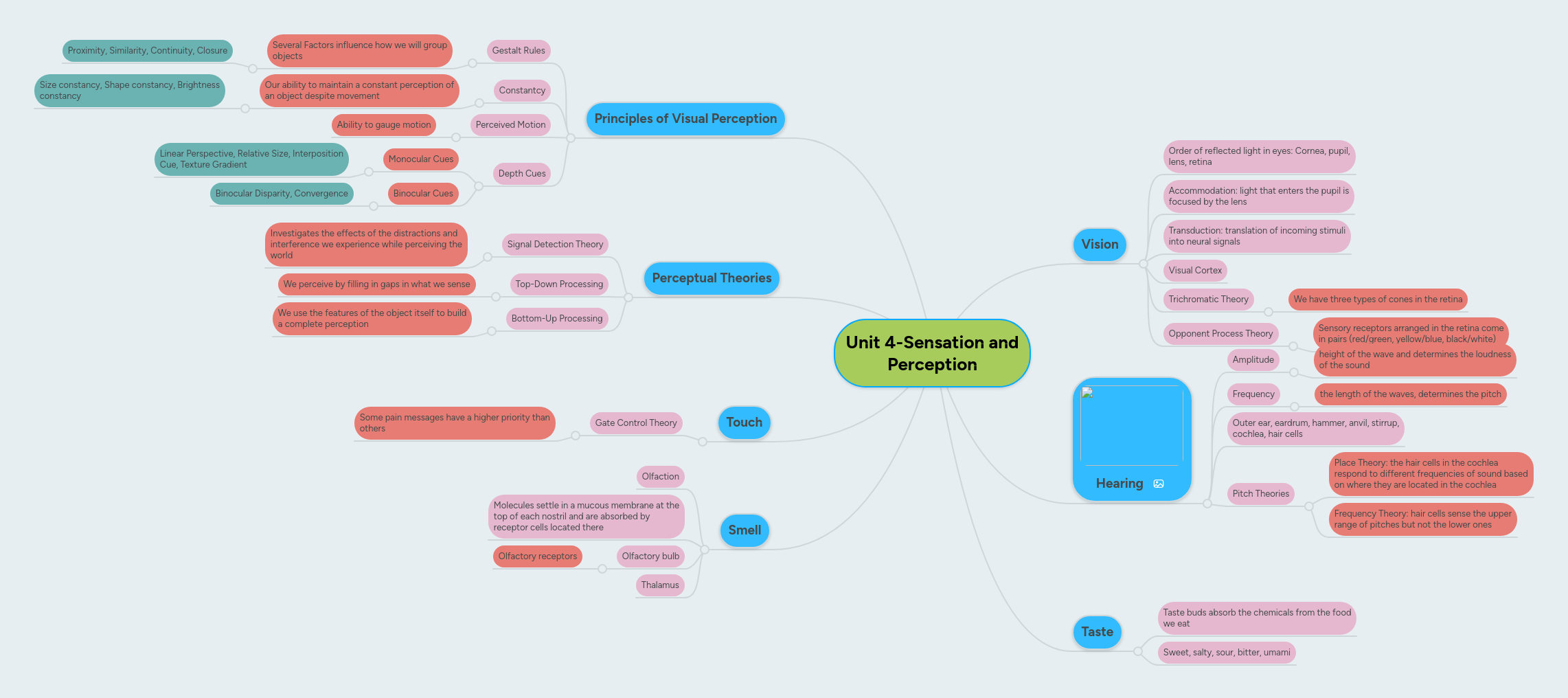 Unit 4-Sensation and Perception | MindMeister Mind map
