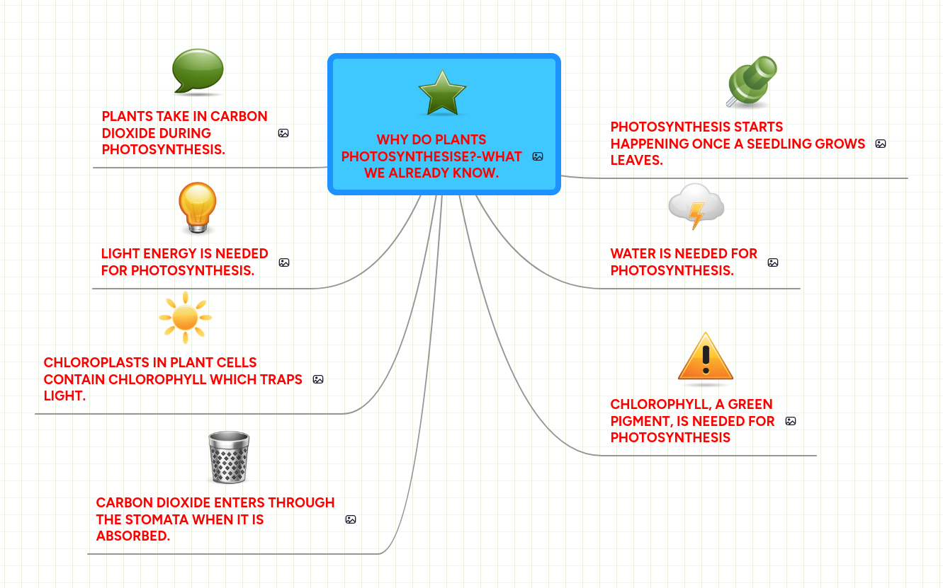 WHY DO PLANTS PHOTOSYNTHESISE?-WHAT WE ALREADY KN... | MindMeister Mind Map
