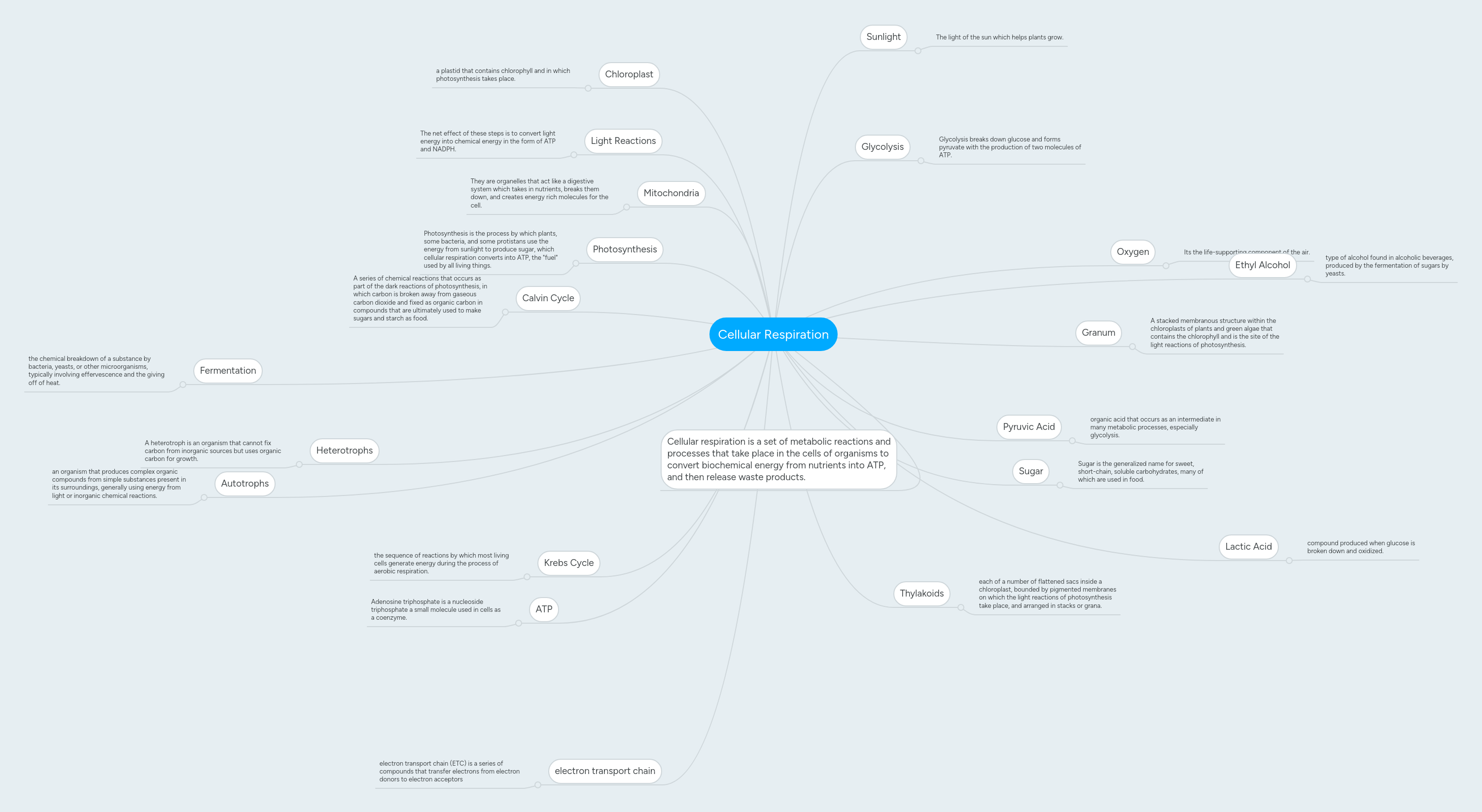 Cellular Respiration | MindMeister Mind Map