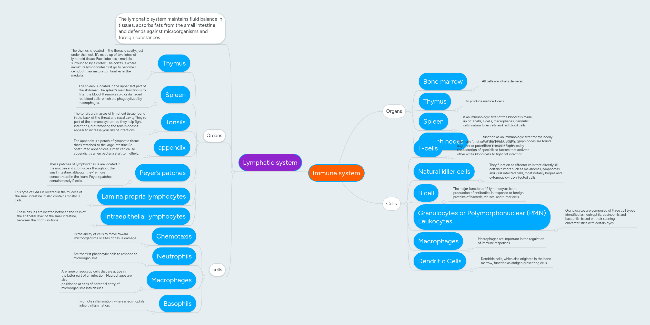 Immune system | MindMeister Mind Map