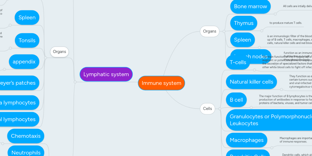 Immune system | MindMeister Mind Map