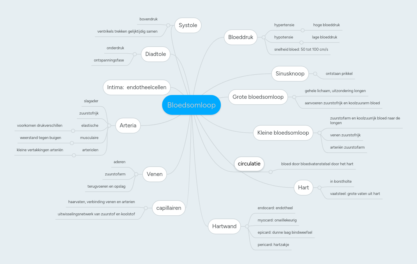Bloedsomloop | MindMeister Mind Map