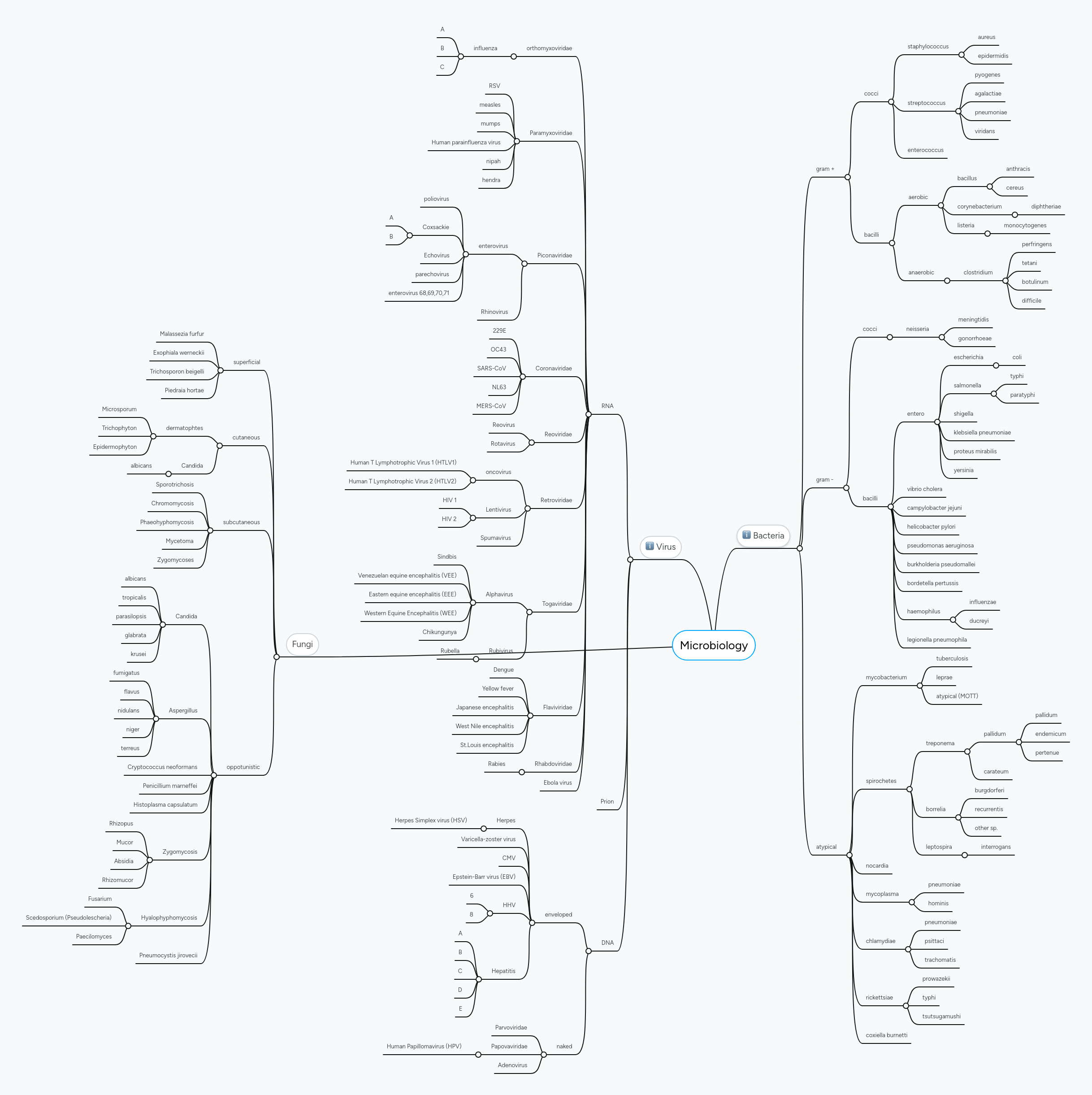 Microbiology | MindMeister Mind Map