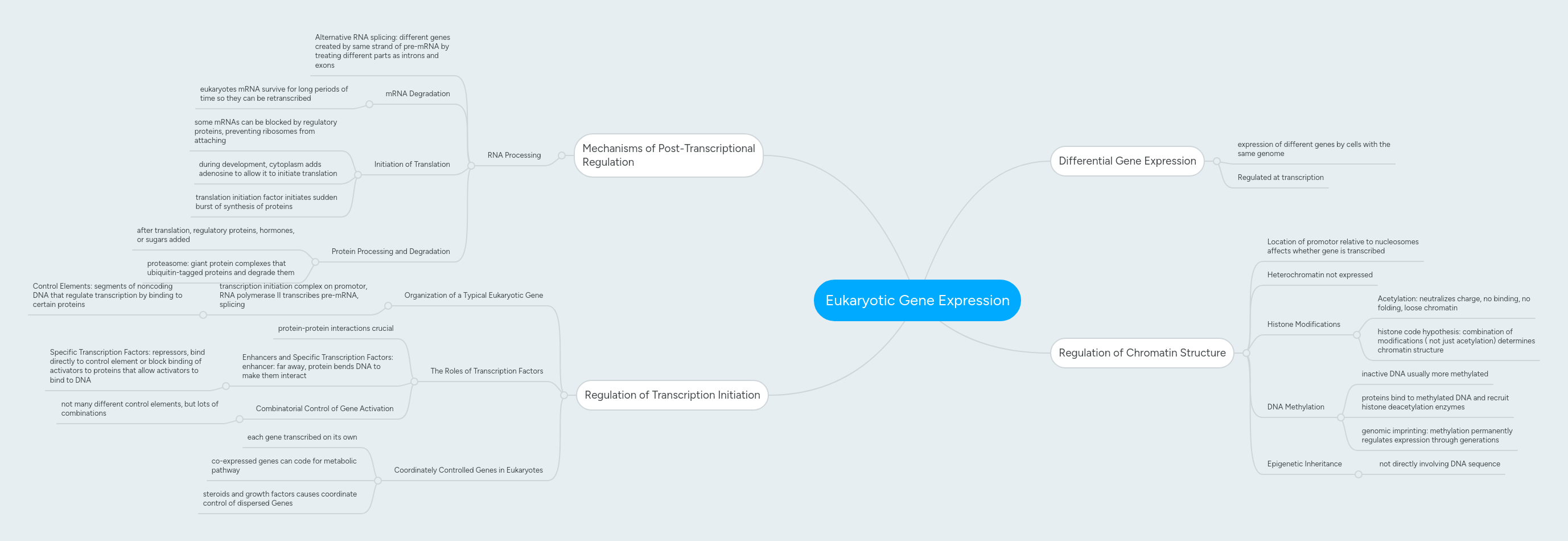 Eukaryotic Gene Expression | MindMeister Mind Map