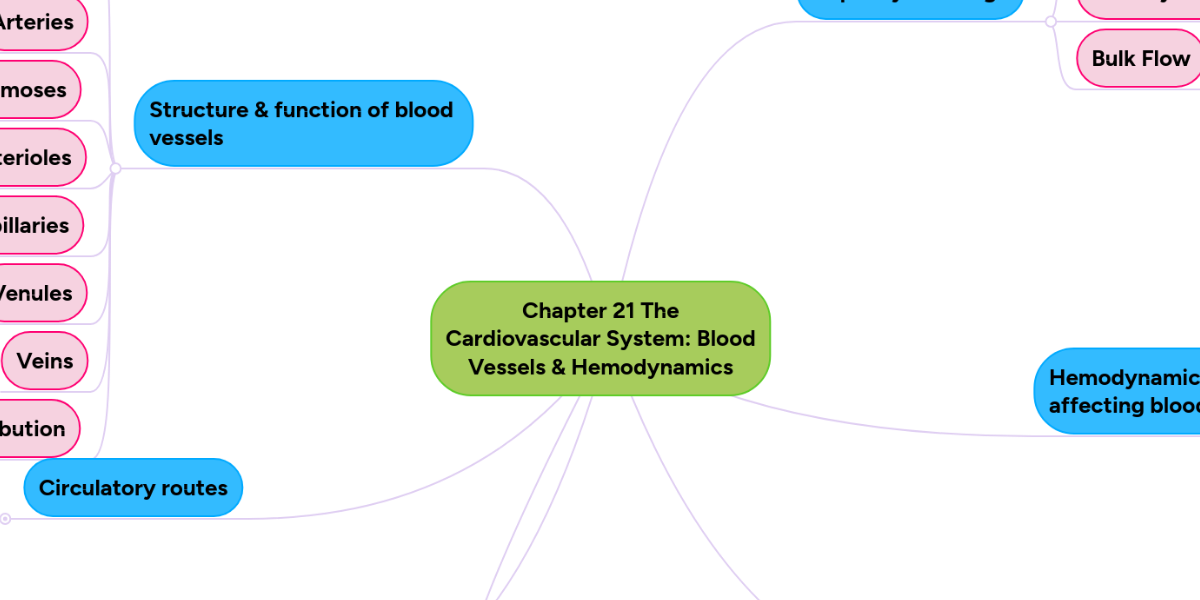 Chapter 21 The Cardiovascular System: Blood Vesse... | MindMeister Mind Map