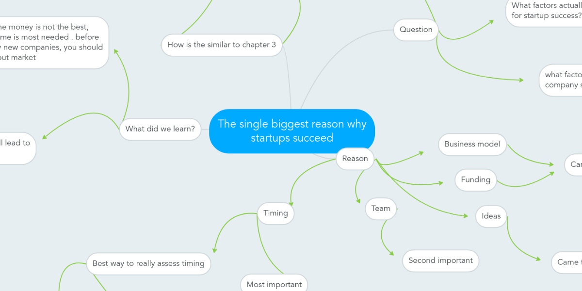 The single biggest reason why startups succeed | MindMeister Mind map The single biggest reason why startups succeed | MindMeister Mind map