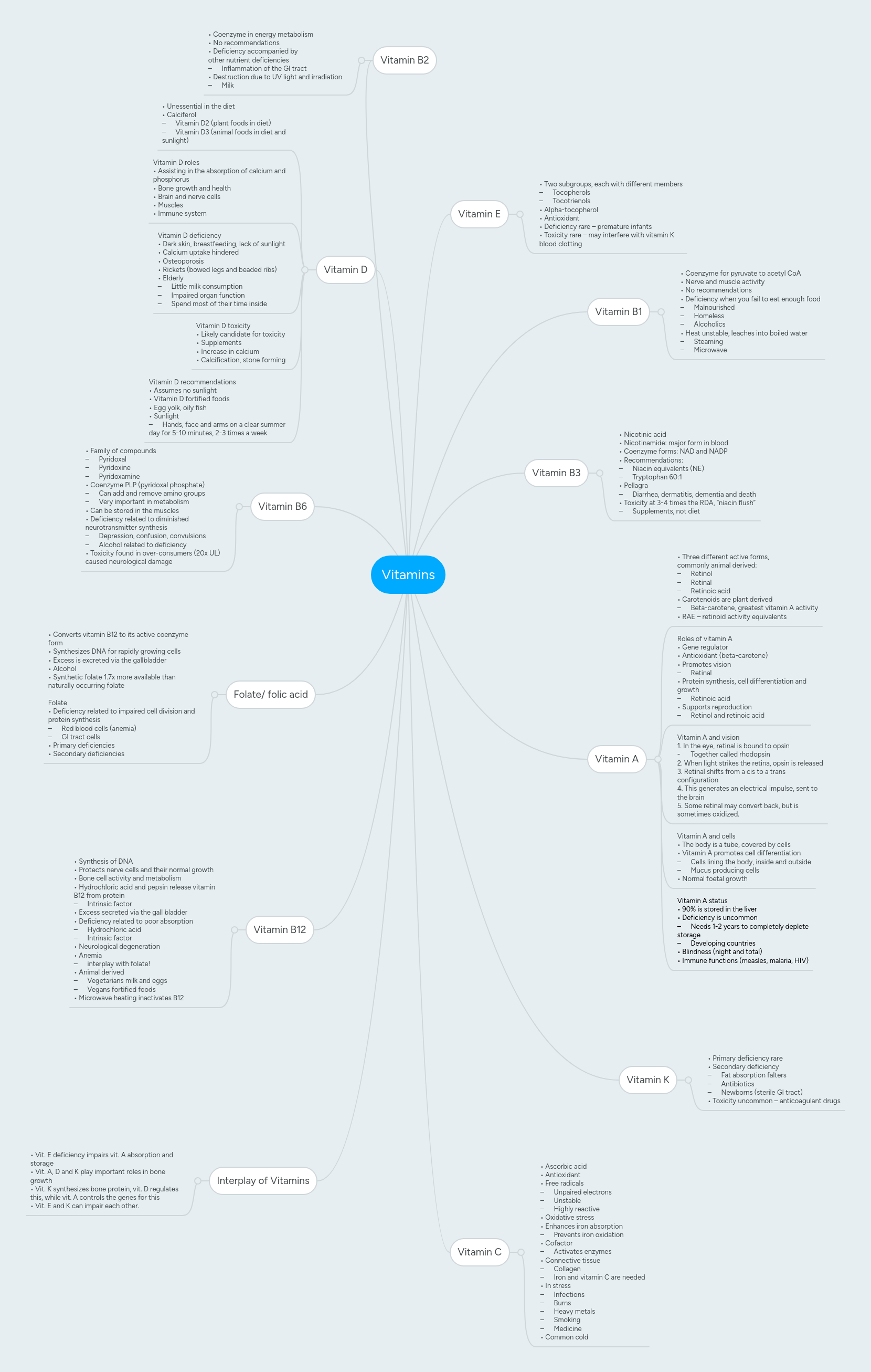 Vitamins | MindMeister Mind Map