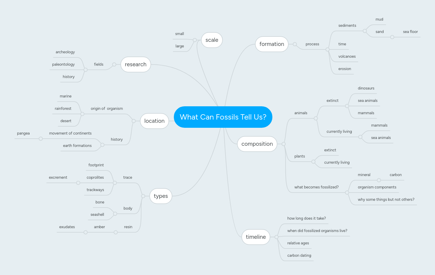 What Can Fossils Tell Us? | MindMeister Mind map
