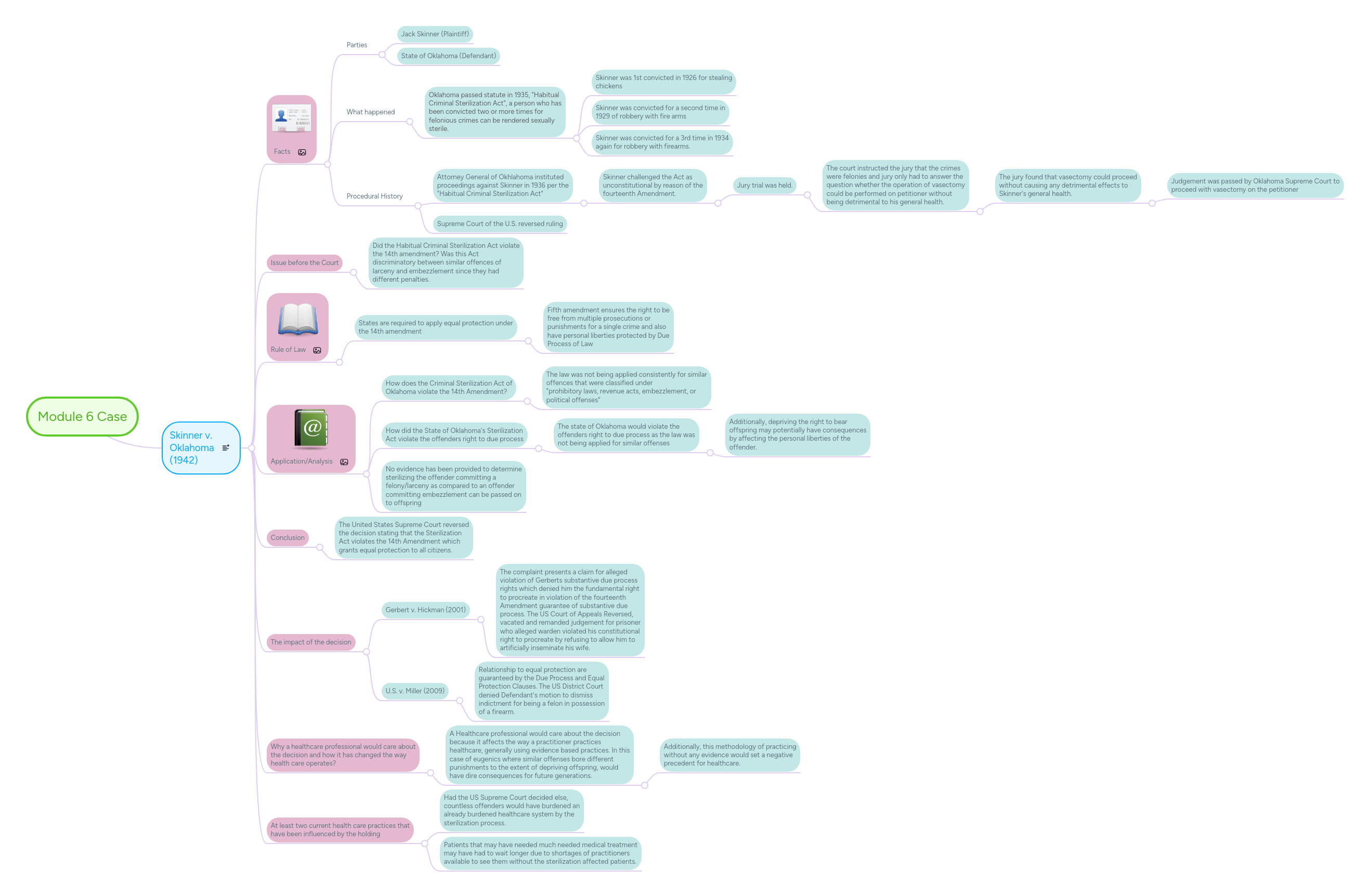 Module 6 Case | MindMeister Mind Map