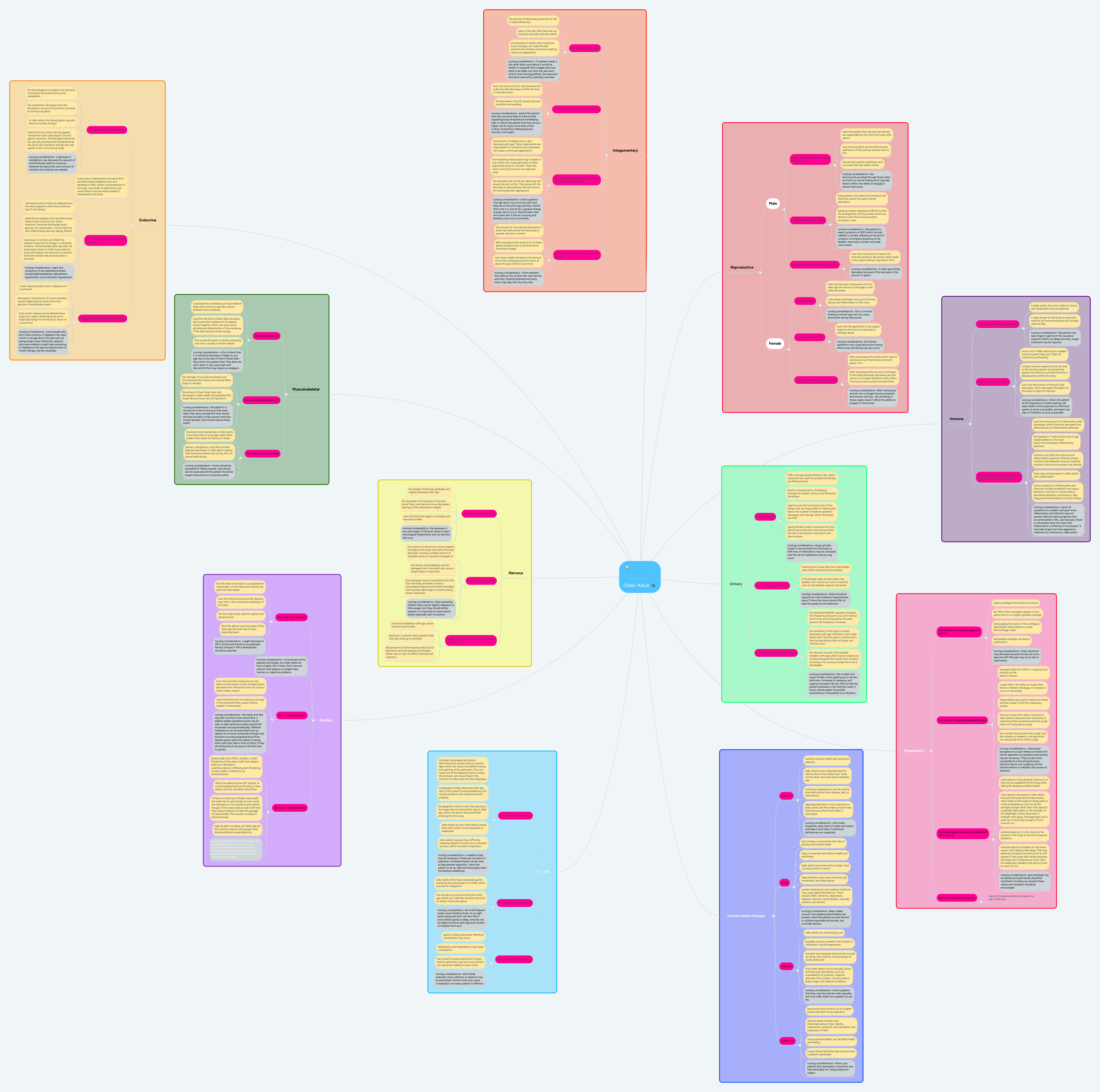 Older Adult | MindMeister Mind map