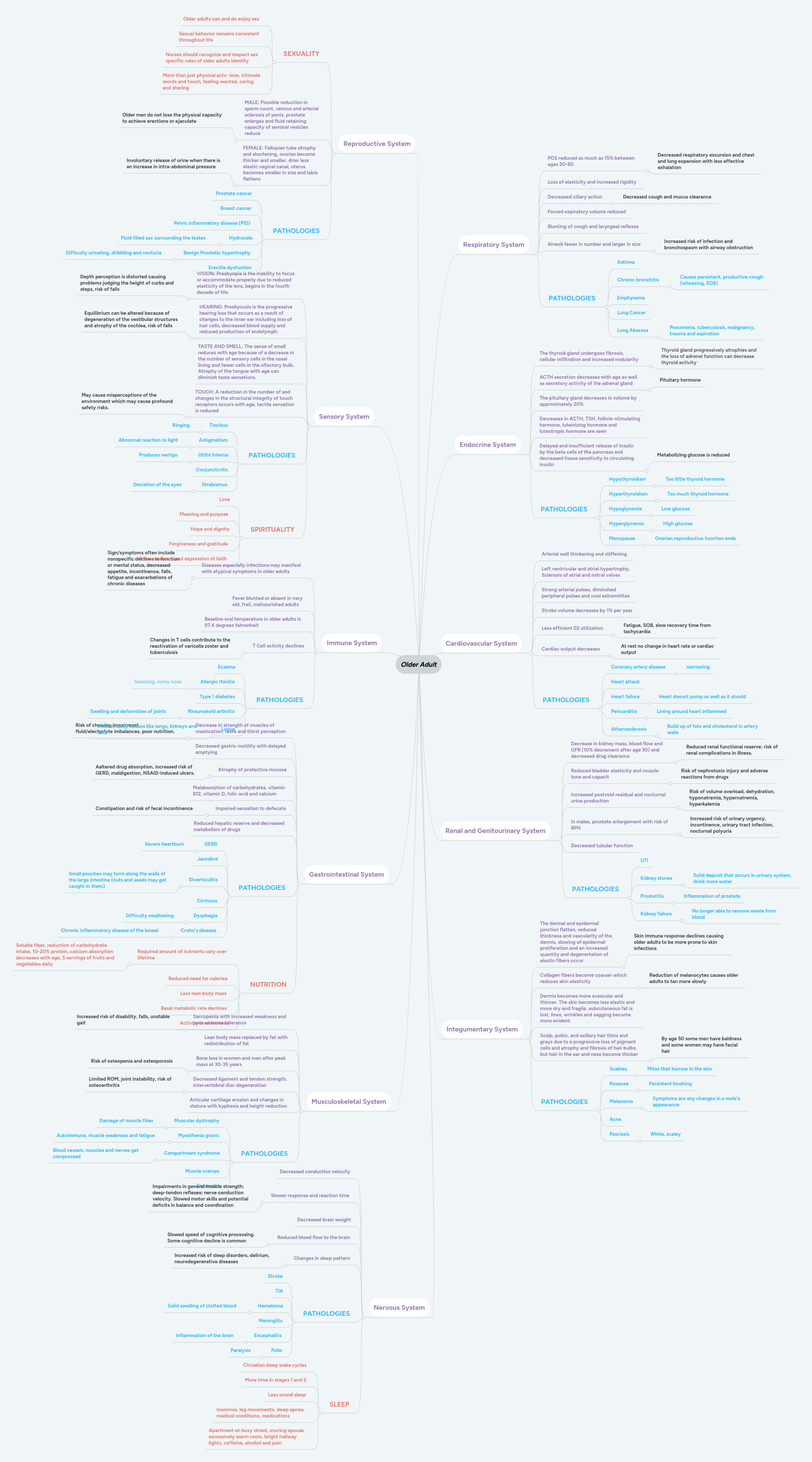 Older Adult | MindMeister Mind map