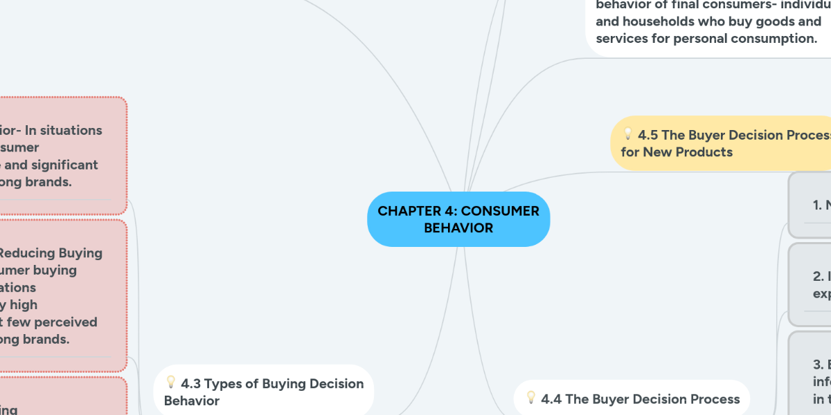 CHAPTER 4: CONSUMER BEHAVIOR | MindMeister Mind Map