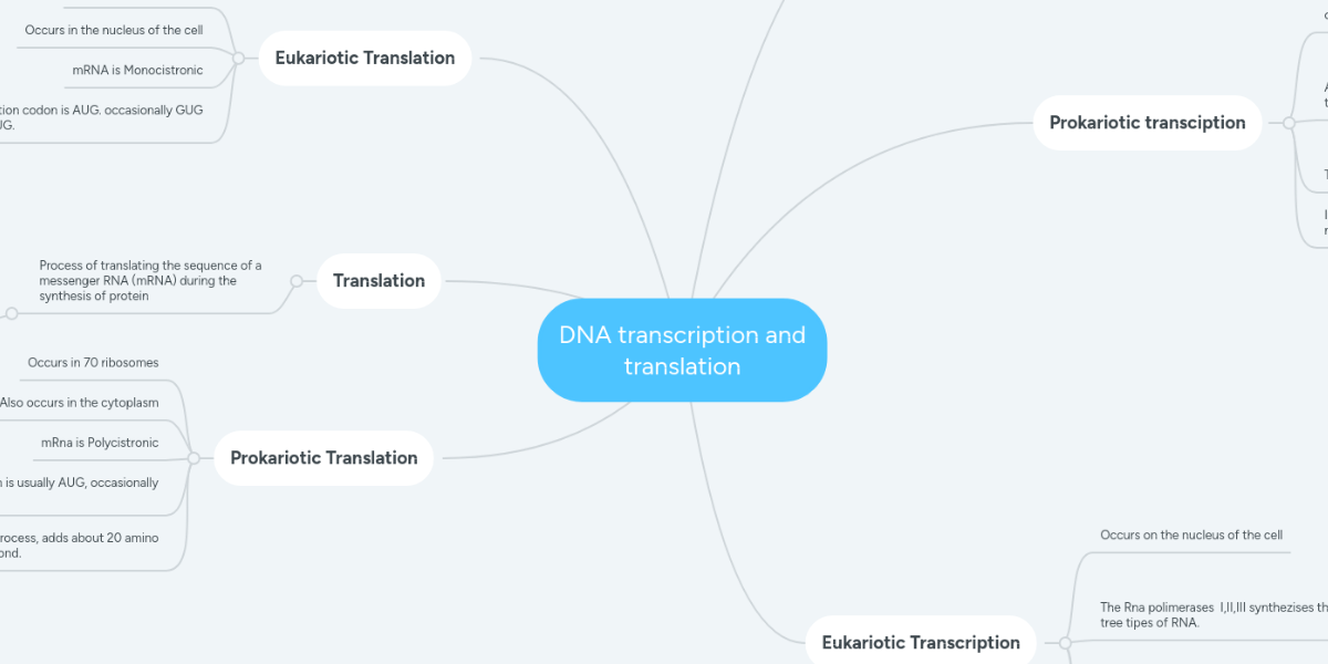 DNA transcription and translation | MindMeister Mind Map