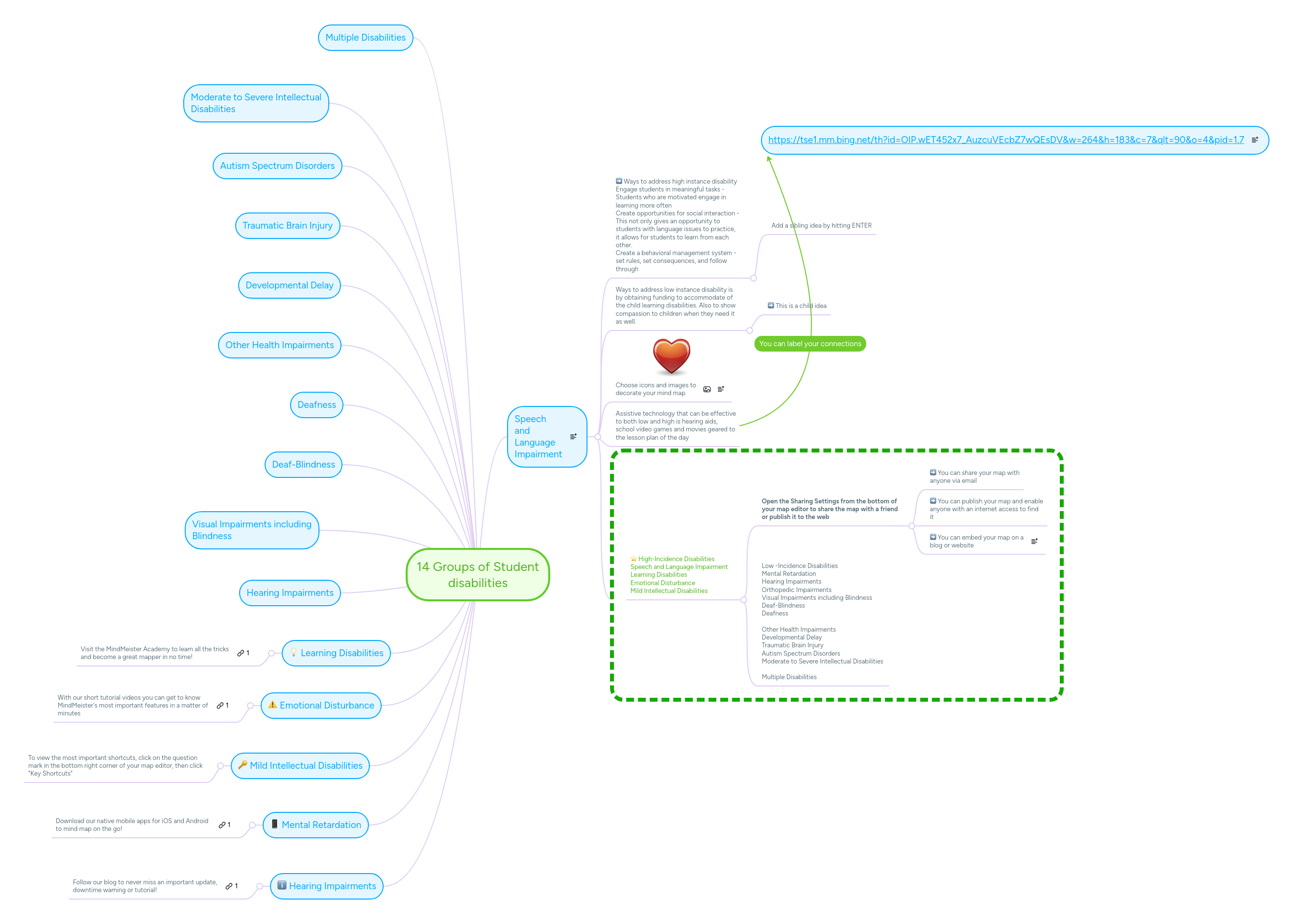 14 Groups of Student disabilities | MindMeister Mind map